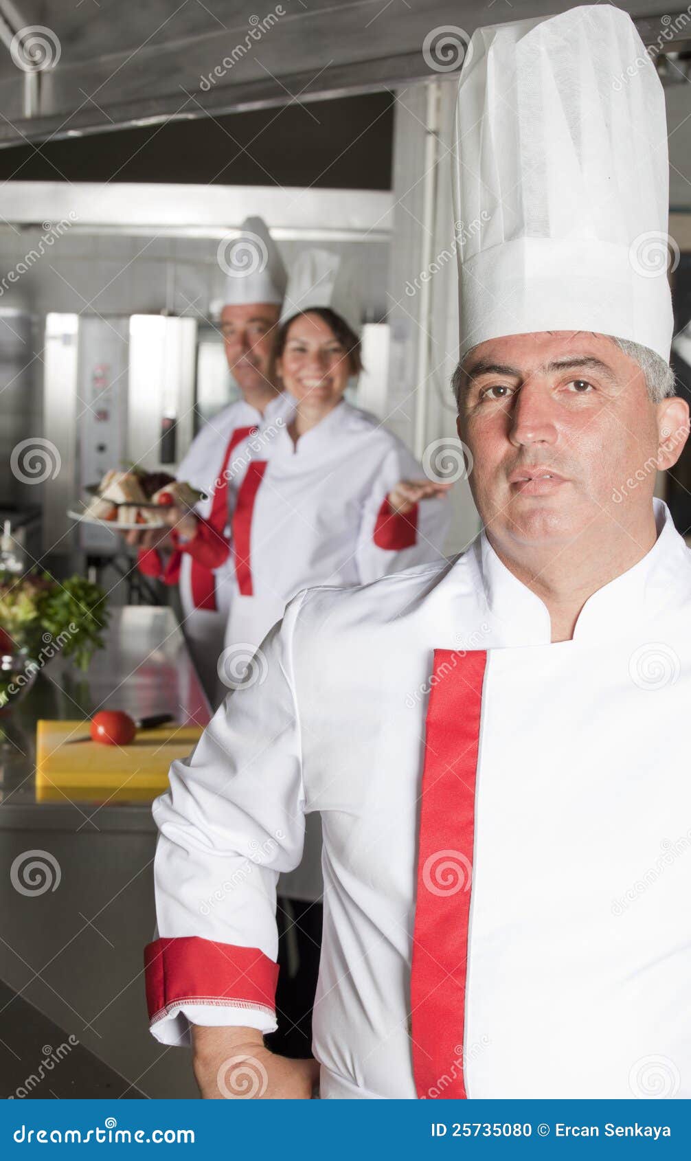 Chefs stock photo. Image of food, cheerful, happy, cook - 25735080