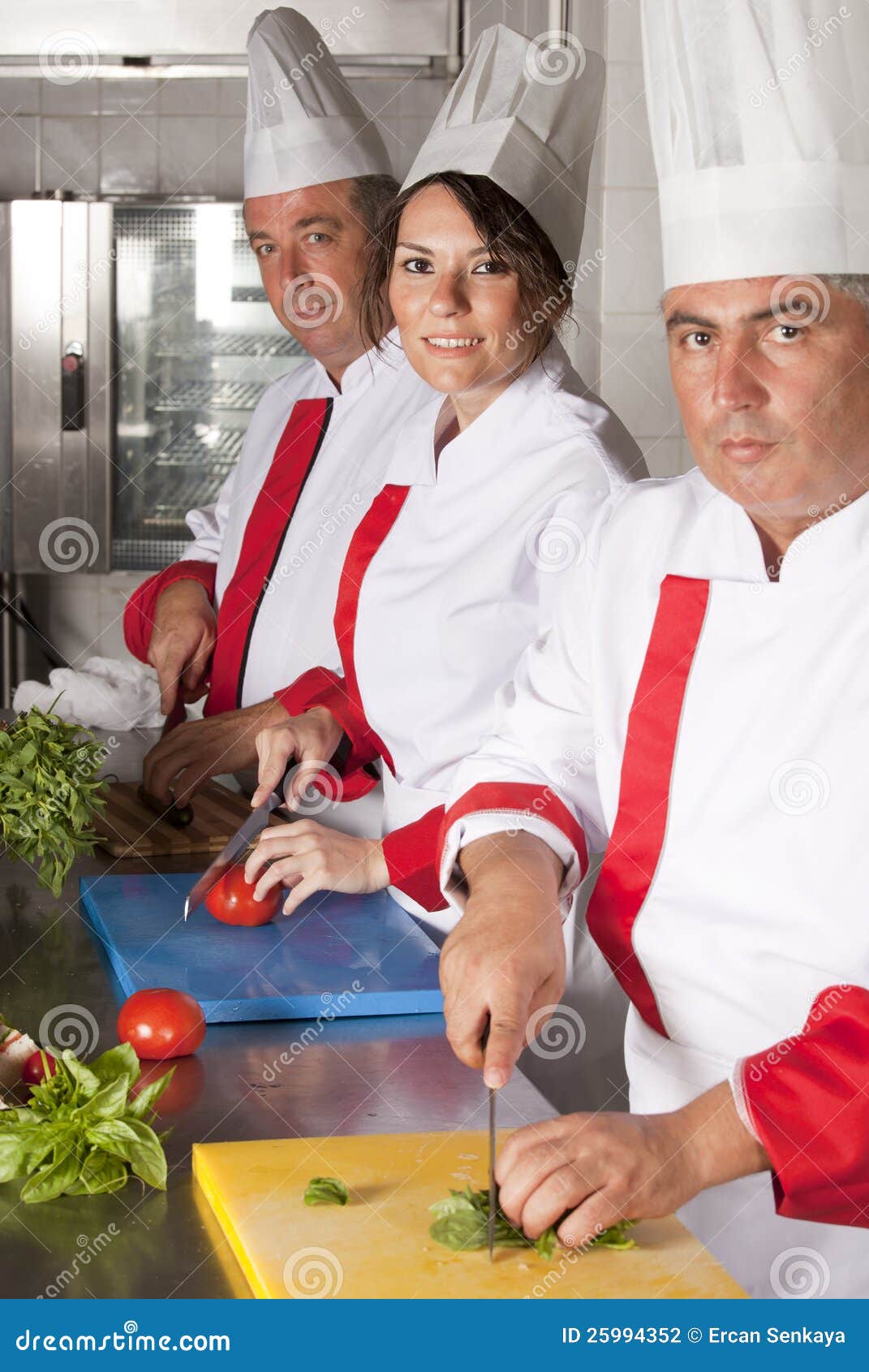 Chefs stock photo. Image of business, adult, professional - 25994352
