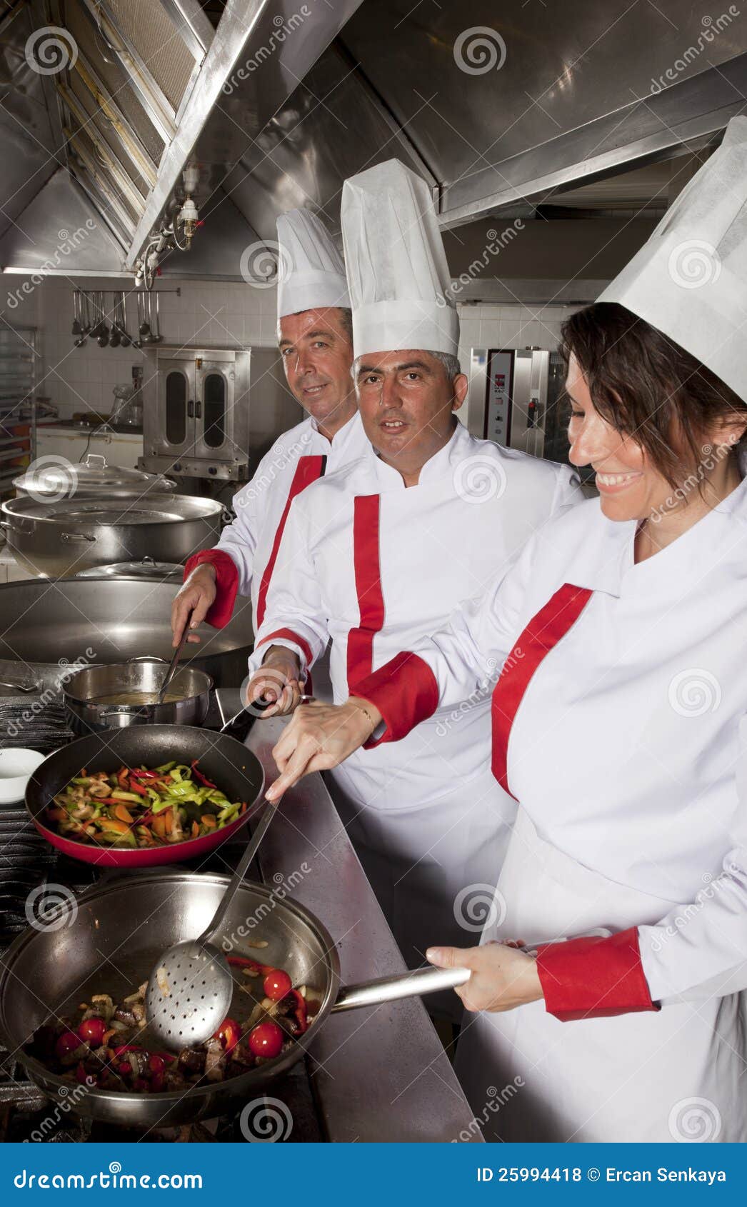 Chefs stock photo. Image of catering, food, friendly - 25994418