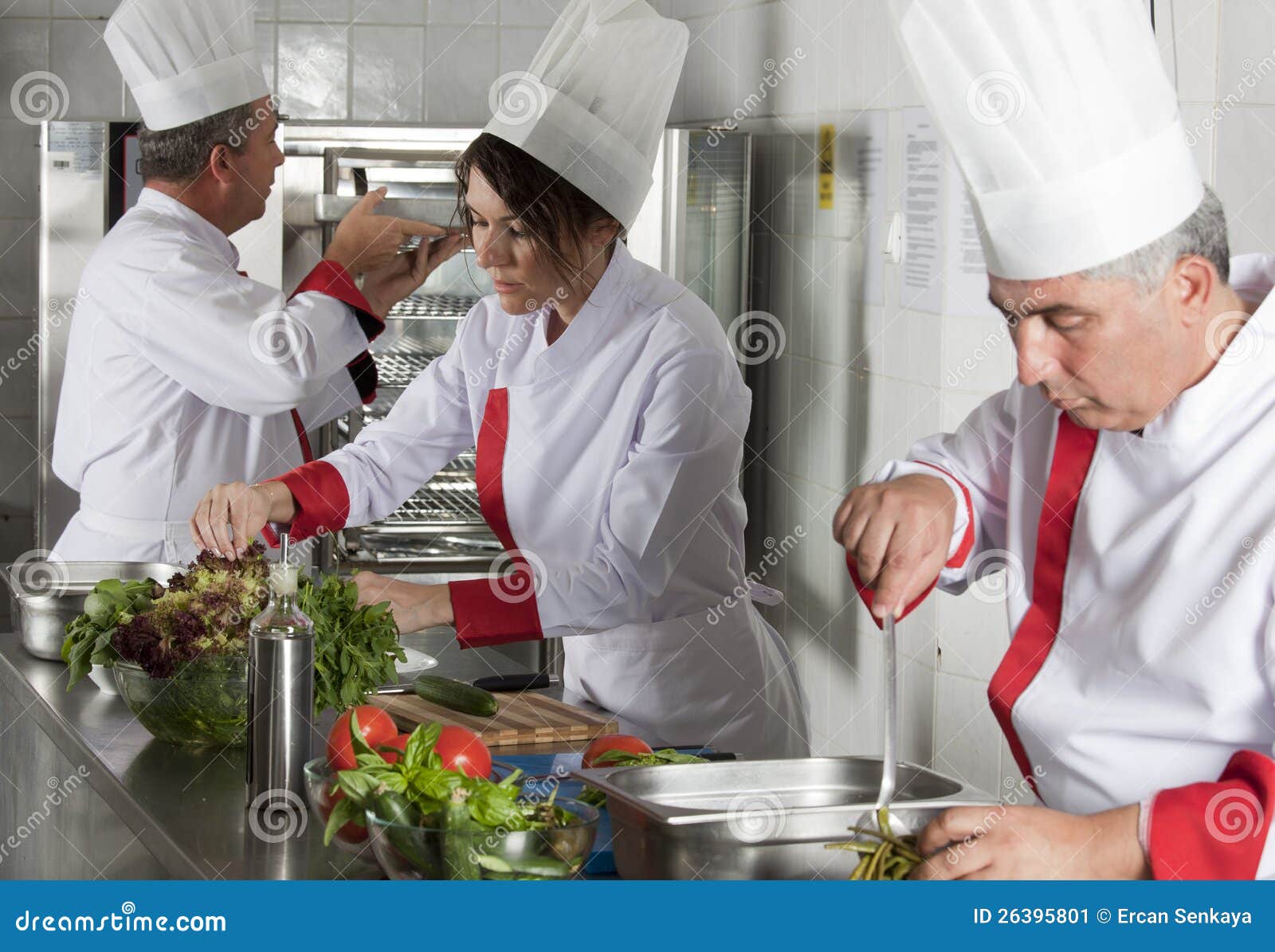 Chefs stock image. Image of dinner, preparation, plate - 26395801