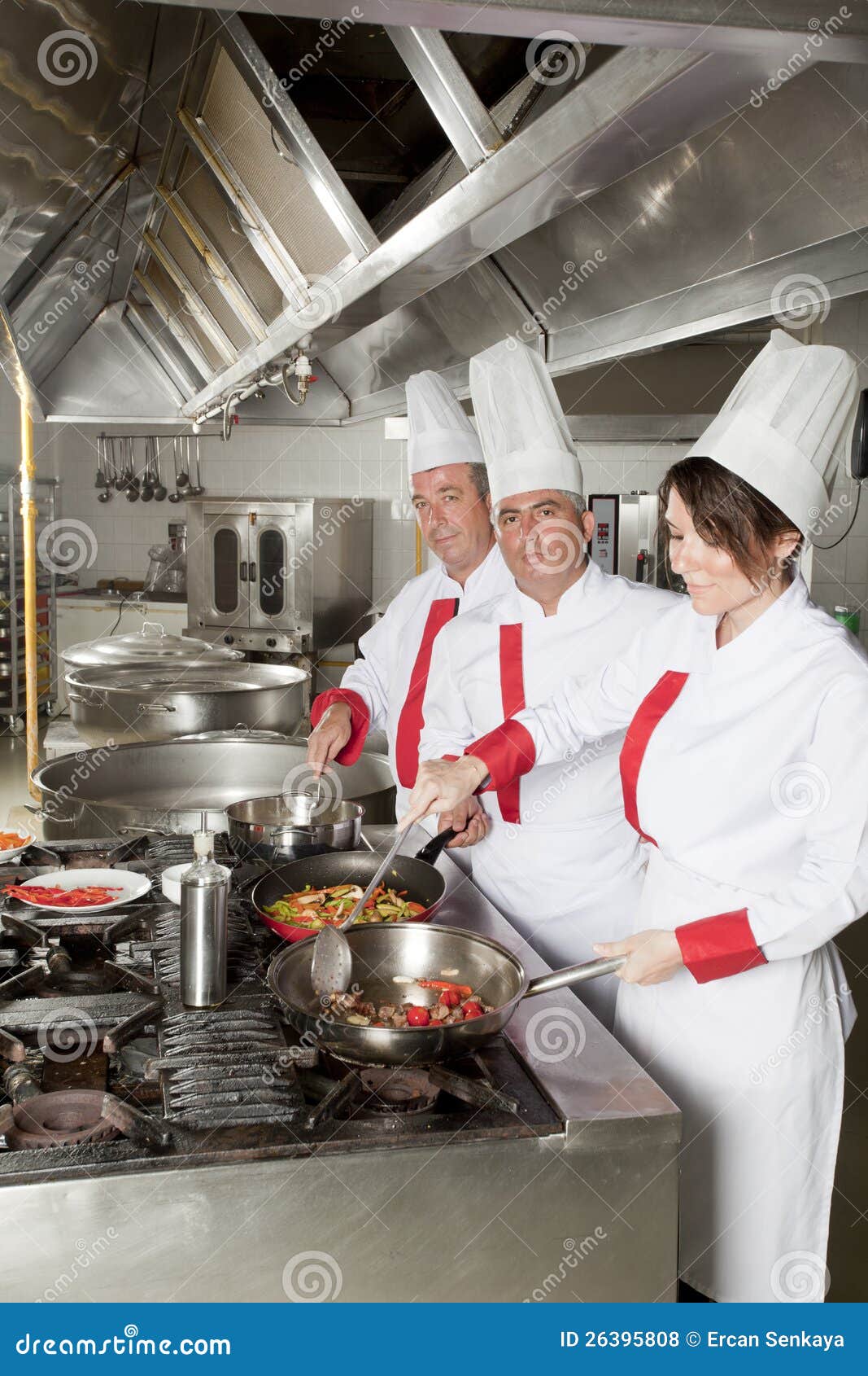 Chefs stock photo. Image of profession, clothes, hand - 26395808