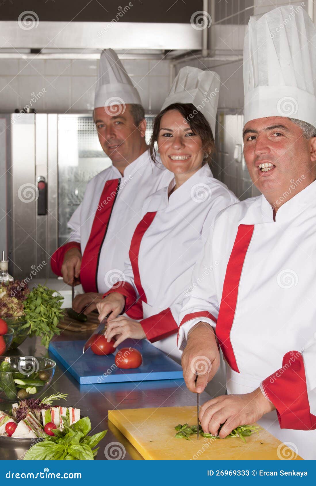 Chefs stock image. Image of diversity, occupation, closeup - 26969333