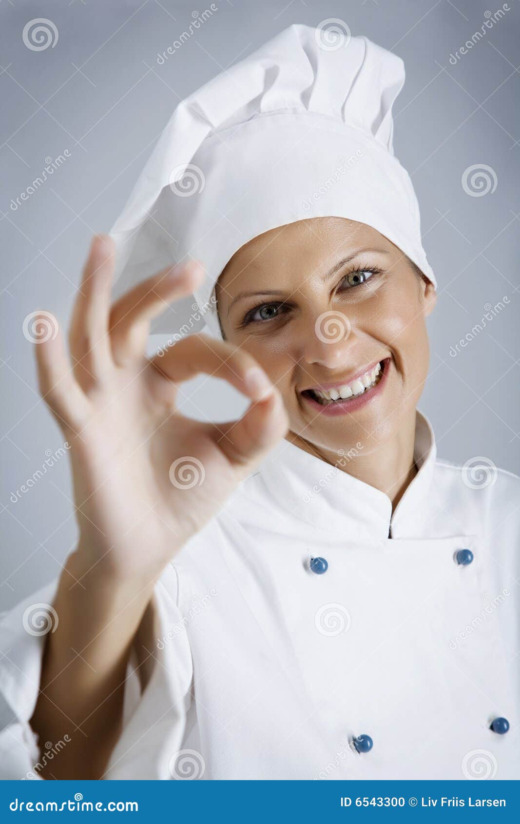 Chefs approval stock photo. Image of hand, sign, vertical - 6543300
