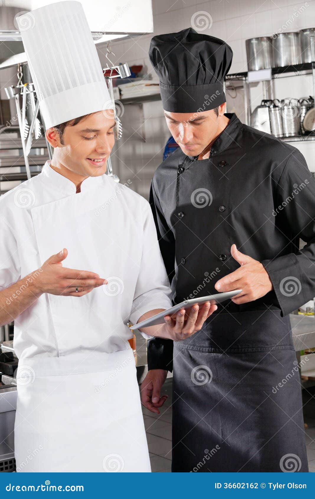 Chefs with Digital Tablet stock photo. Image of connection - 36602162