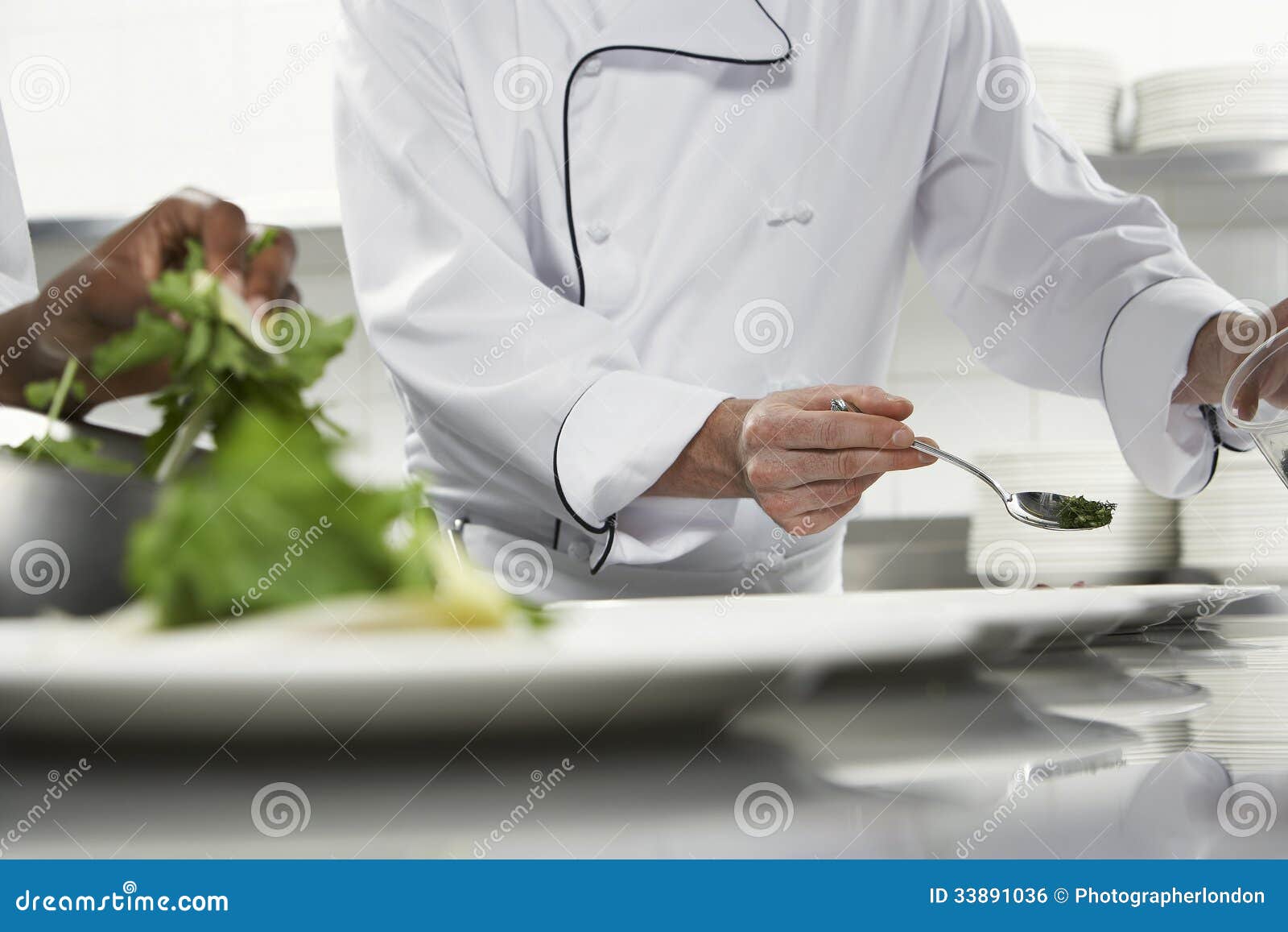 Chefs Preparing Salad stock photo. Image of dinner, closeup - 33891036