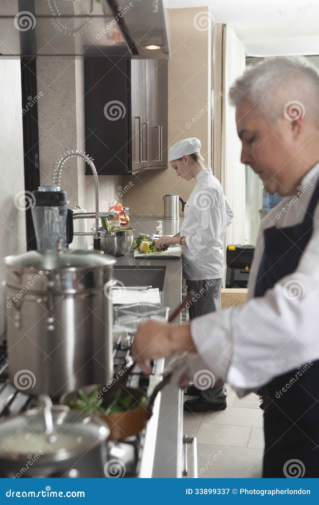 Chefs Working in Commercial Kitchen Stock Image - Image of occupation ...