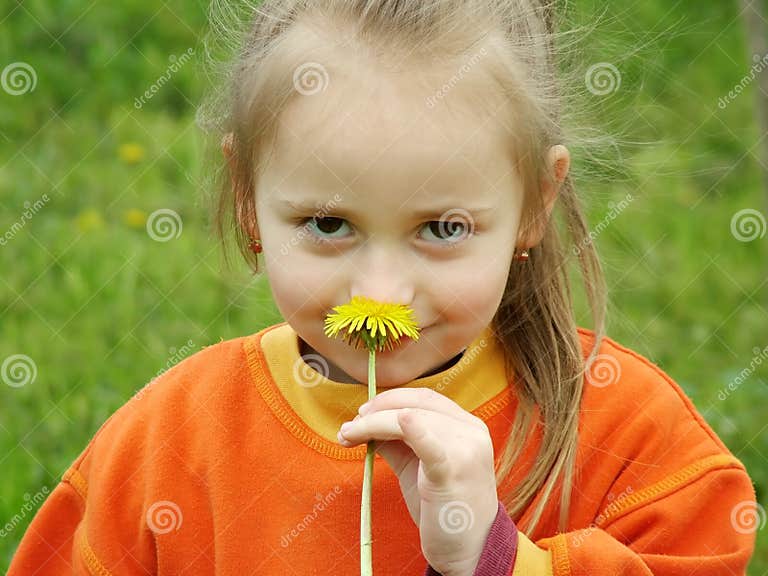 Cheire a flor foto de stock. Imagem de filha, retrato, sazonal - 828696