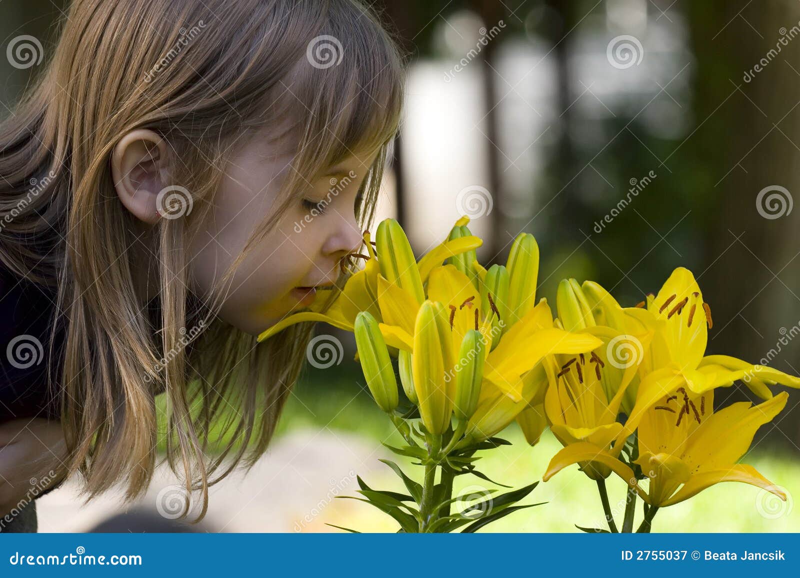 Cheire flores imagem de stock. Imagem de princesa, exterior - 2755037