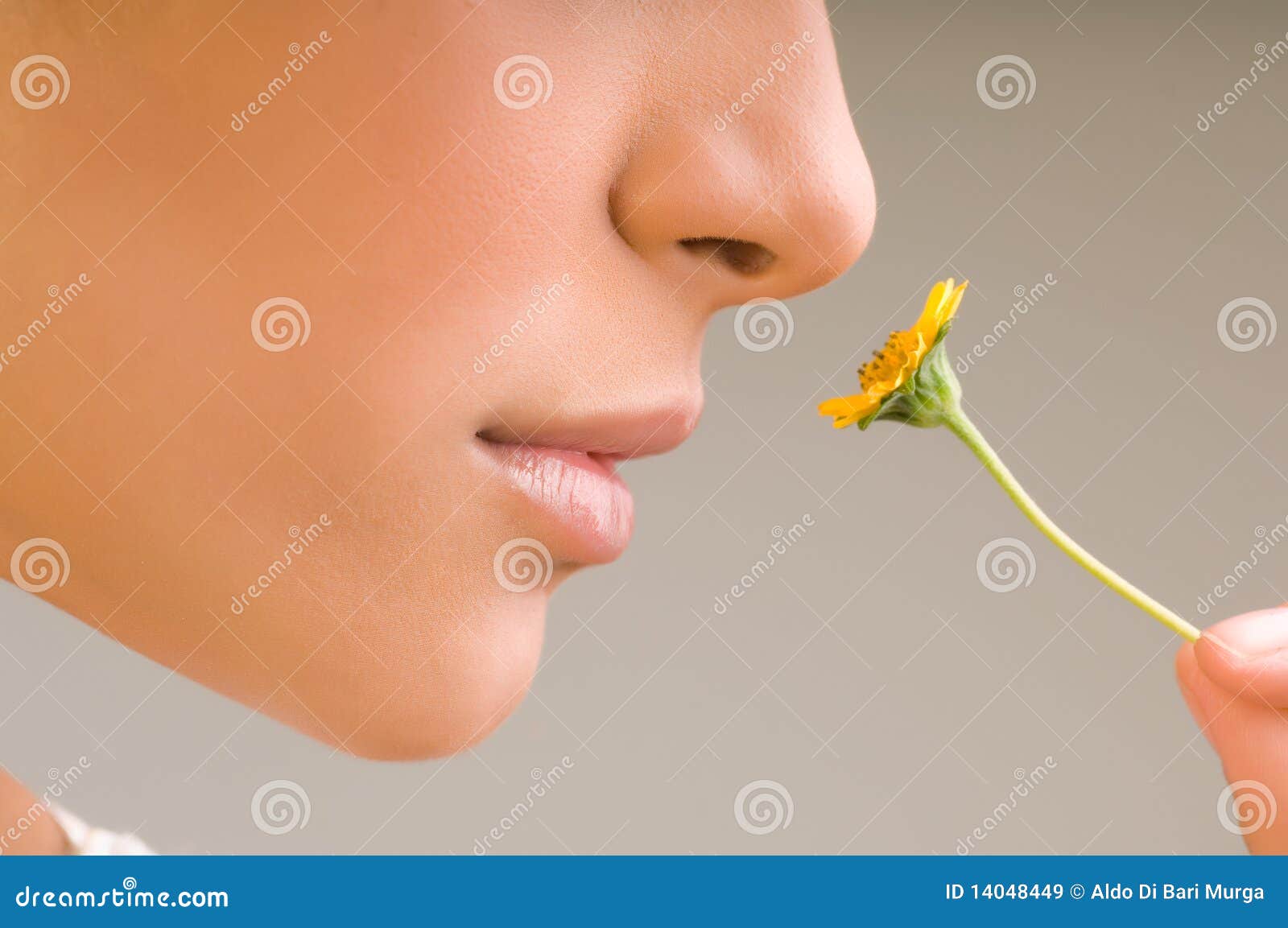 Cheire o cheiro imagem de stock. Imagem de medicina, procurarar - 14048449