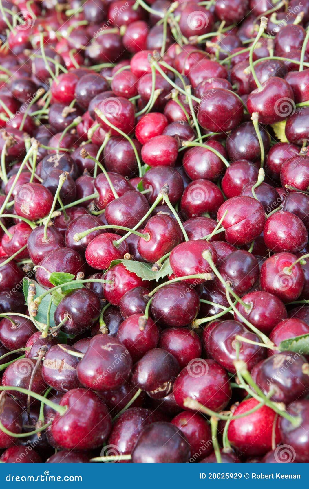 Chelam Cherry pile stock image. Image of close, nutrient - 20025929