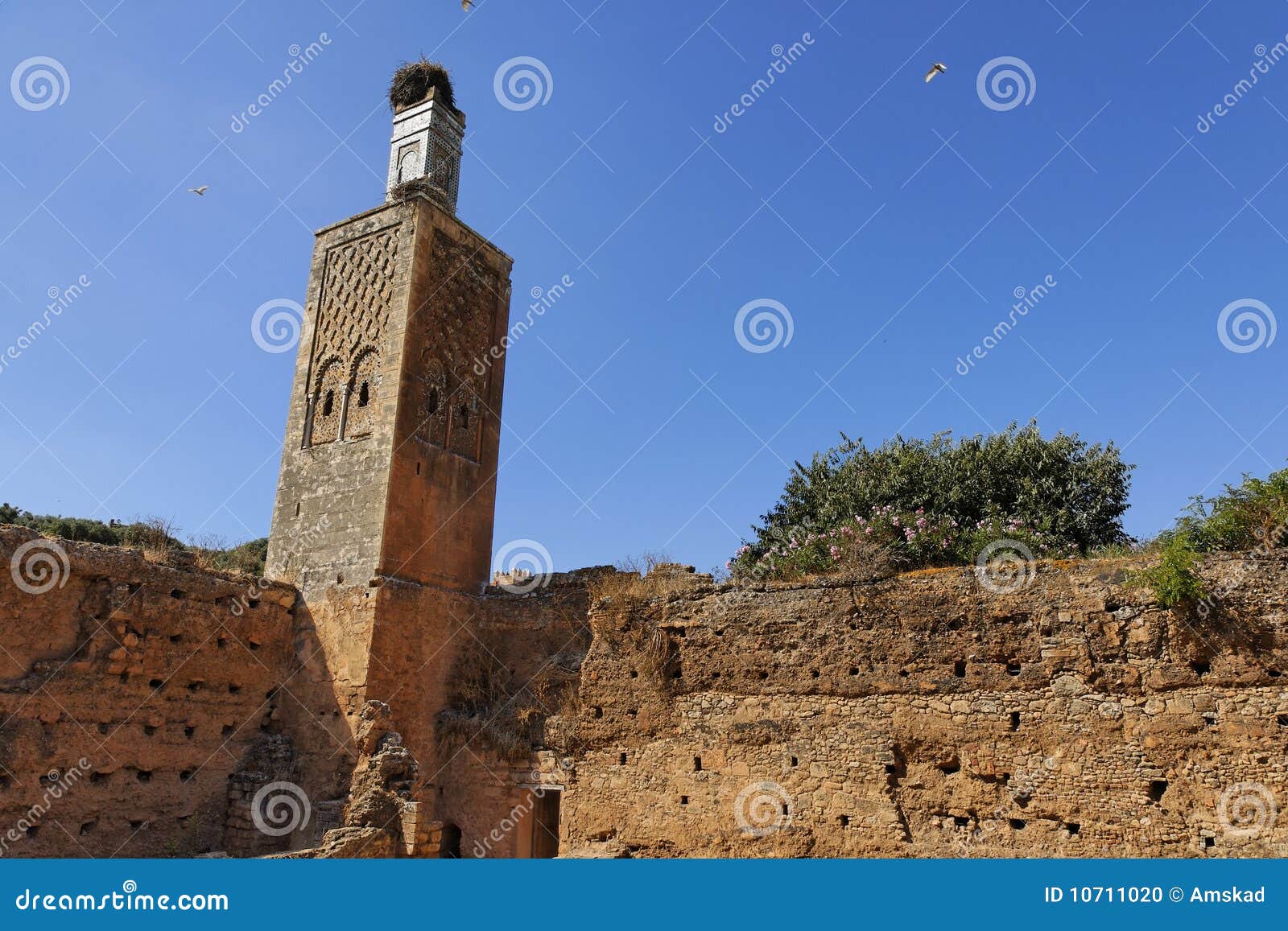 CHELLAH, a Historic Monument Stock Photo - Image of fashioned, gothic ...