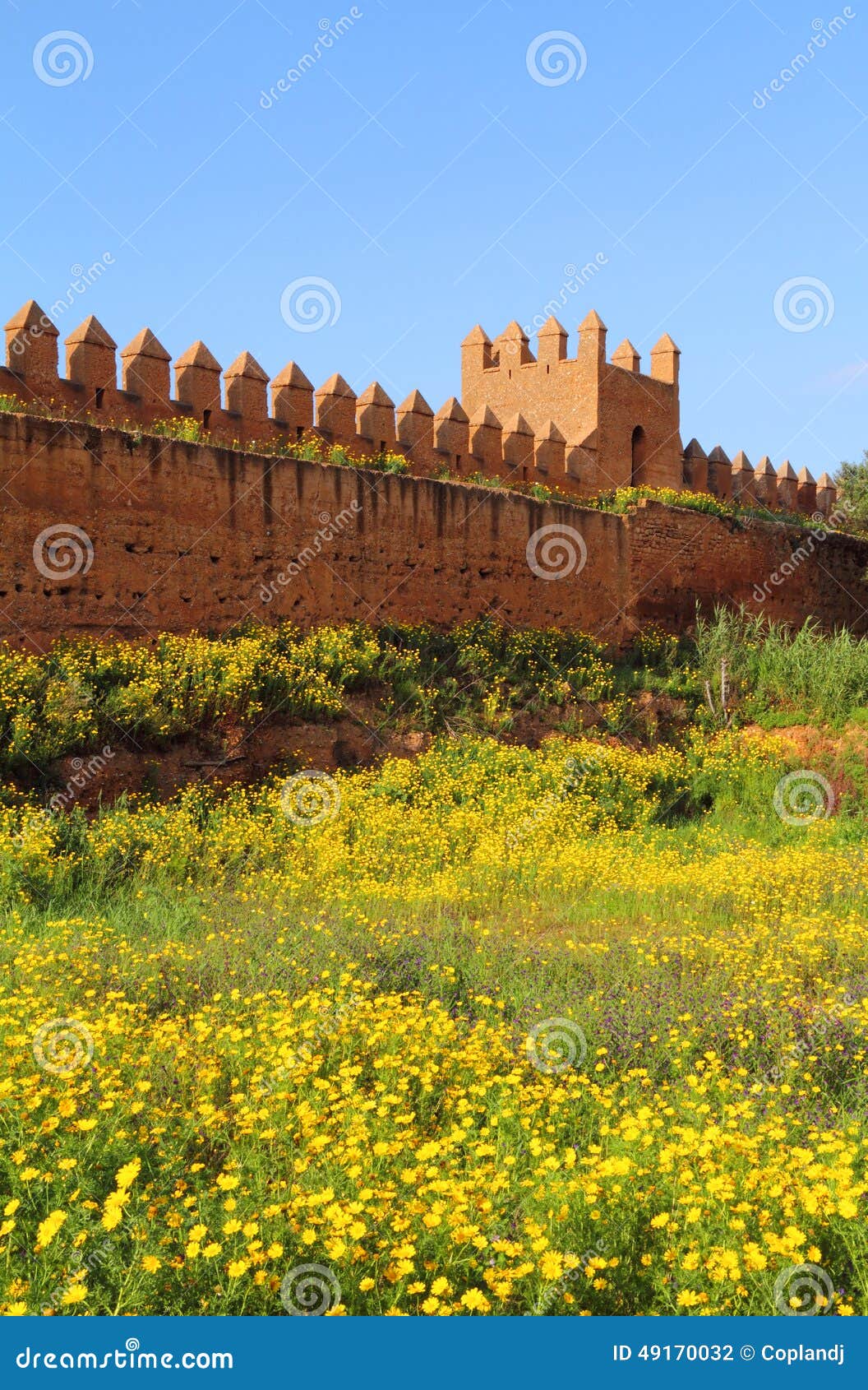 Chellah, Rabat, Marokko stock foto. Image of grandioos - 49170032