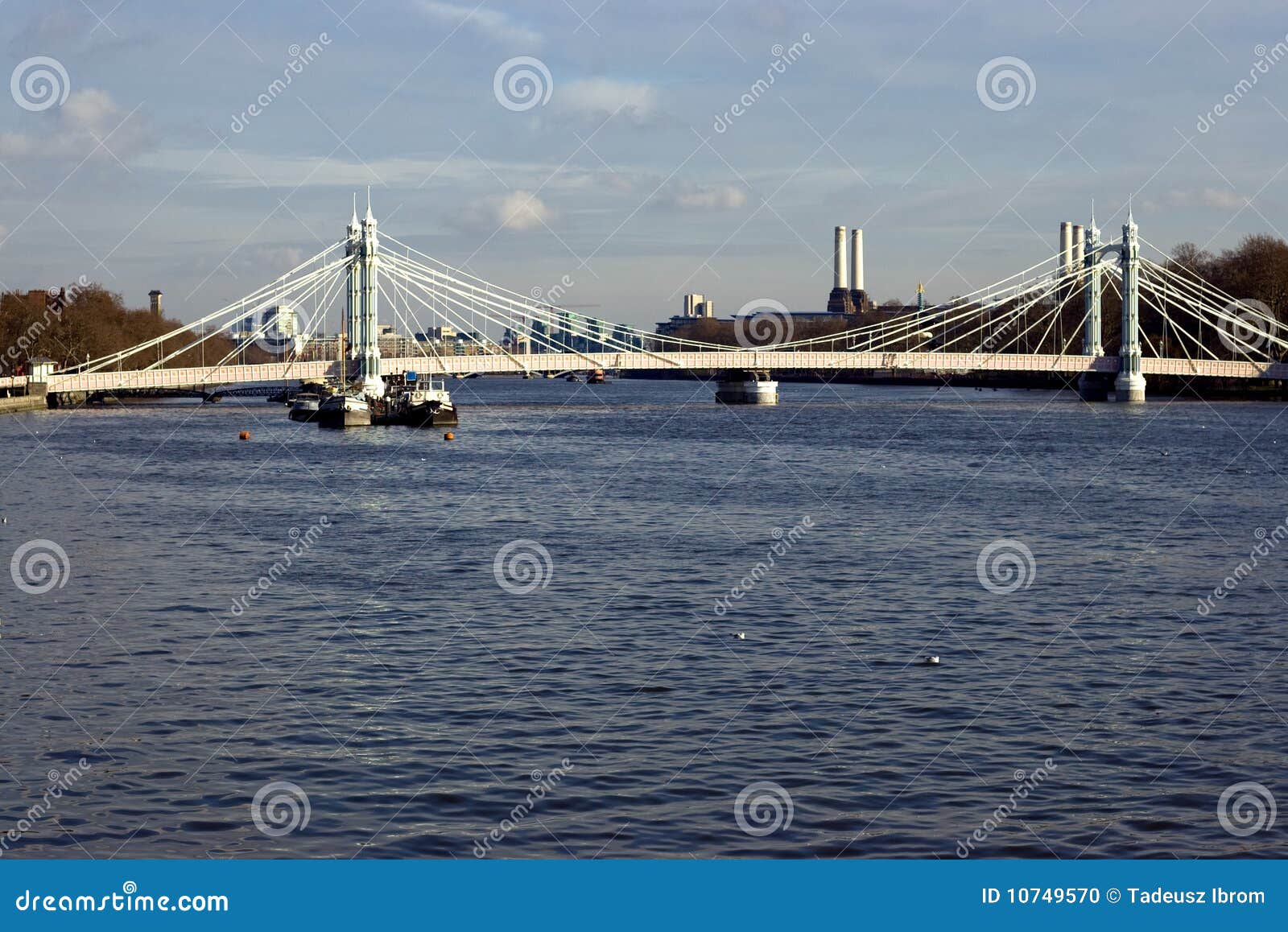 Chelsea bridge stock photo. Image of pedestrian, engineering - 10749570