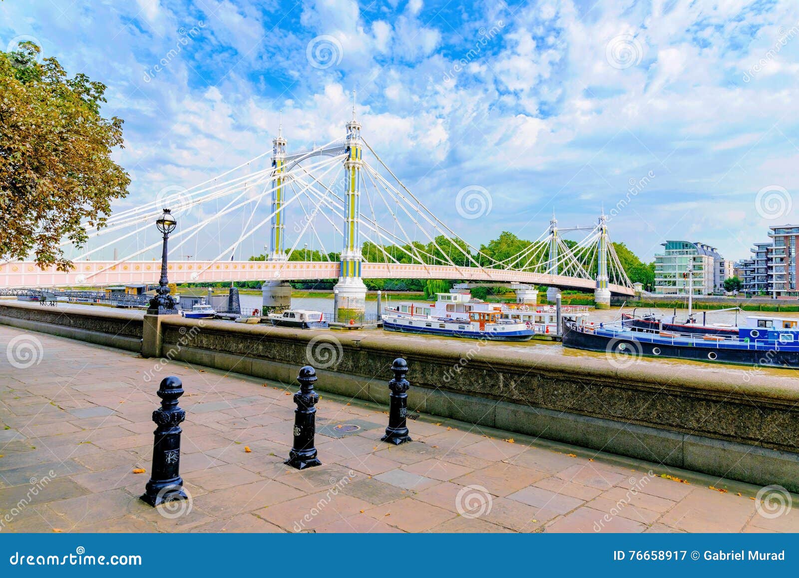 Chelsea Bridge on a Sunny Day Editorial Photography - Image of london ...
