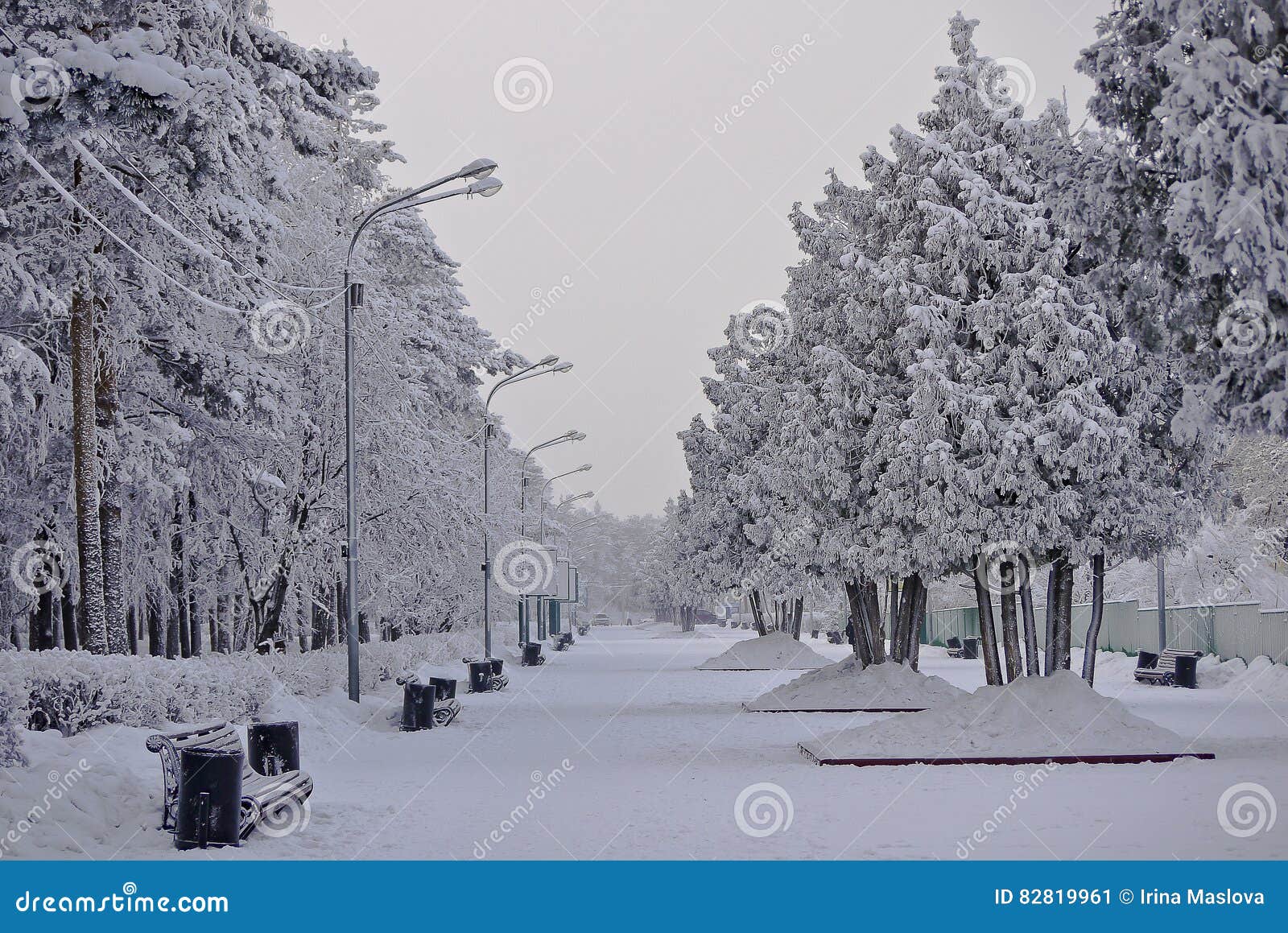 Chelyabinsk. Gagarin`s Park in the Winter. Stock Image - Image of tone ...