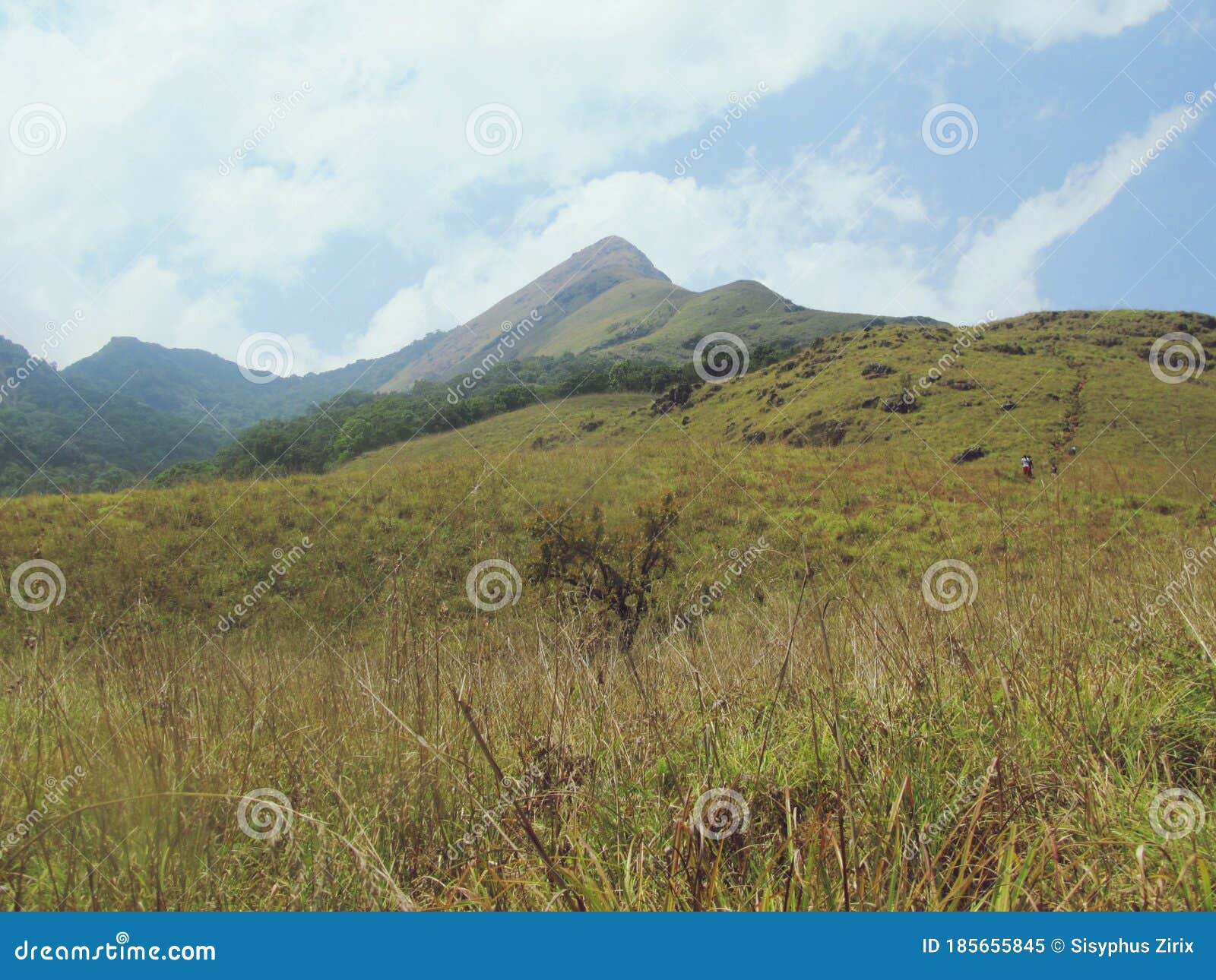 Chembra Peak Meppadi Wayanad Stock Image - Image of mountain, fell ...