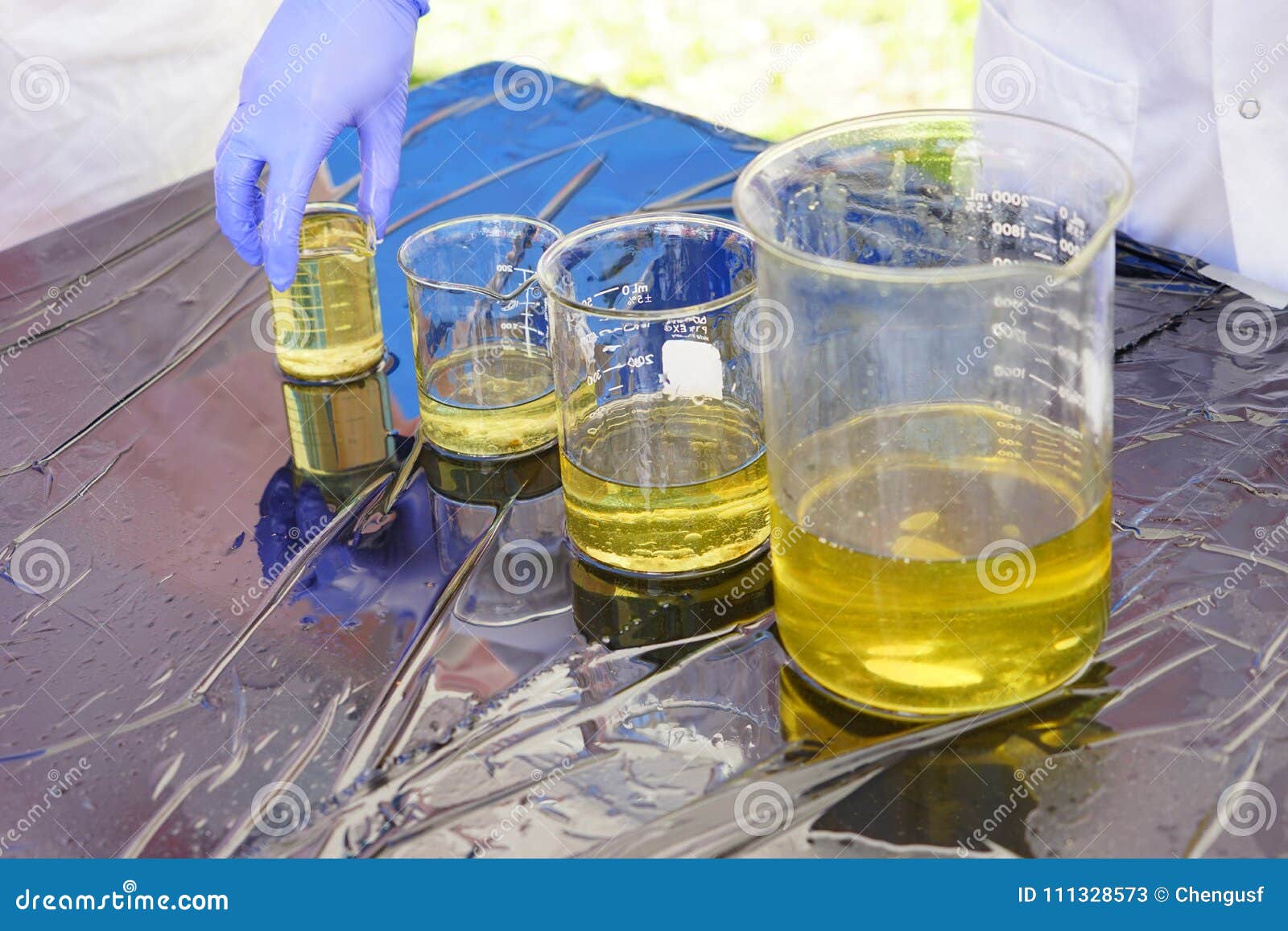Chemical Beaker with a Solution Stock Image - Image of color, isolated ...