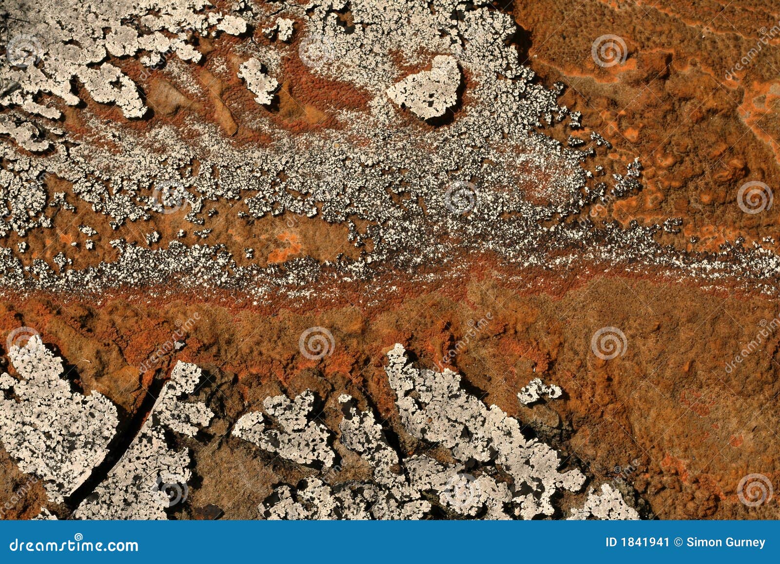 Chemical Burn Textured Background Stock Image - Image of earth, melt ...