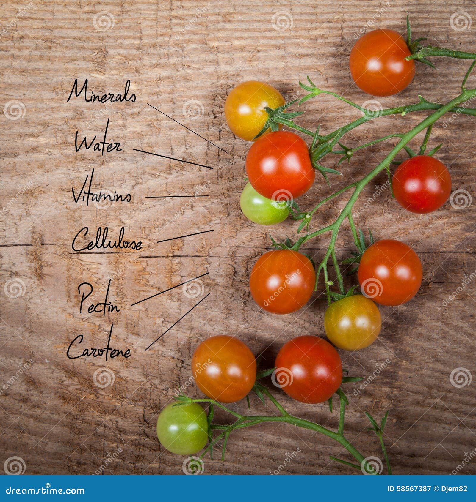 The Chemical Composition of Tomato Stock Image - Image of nourishment ...