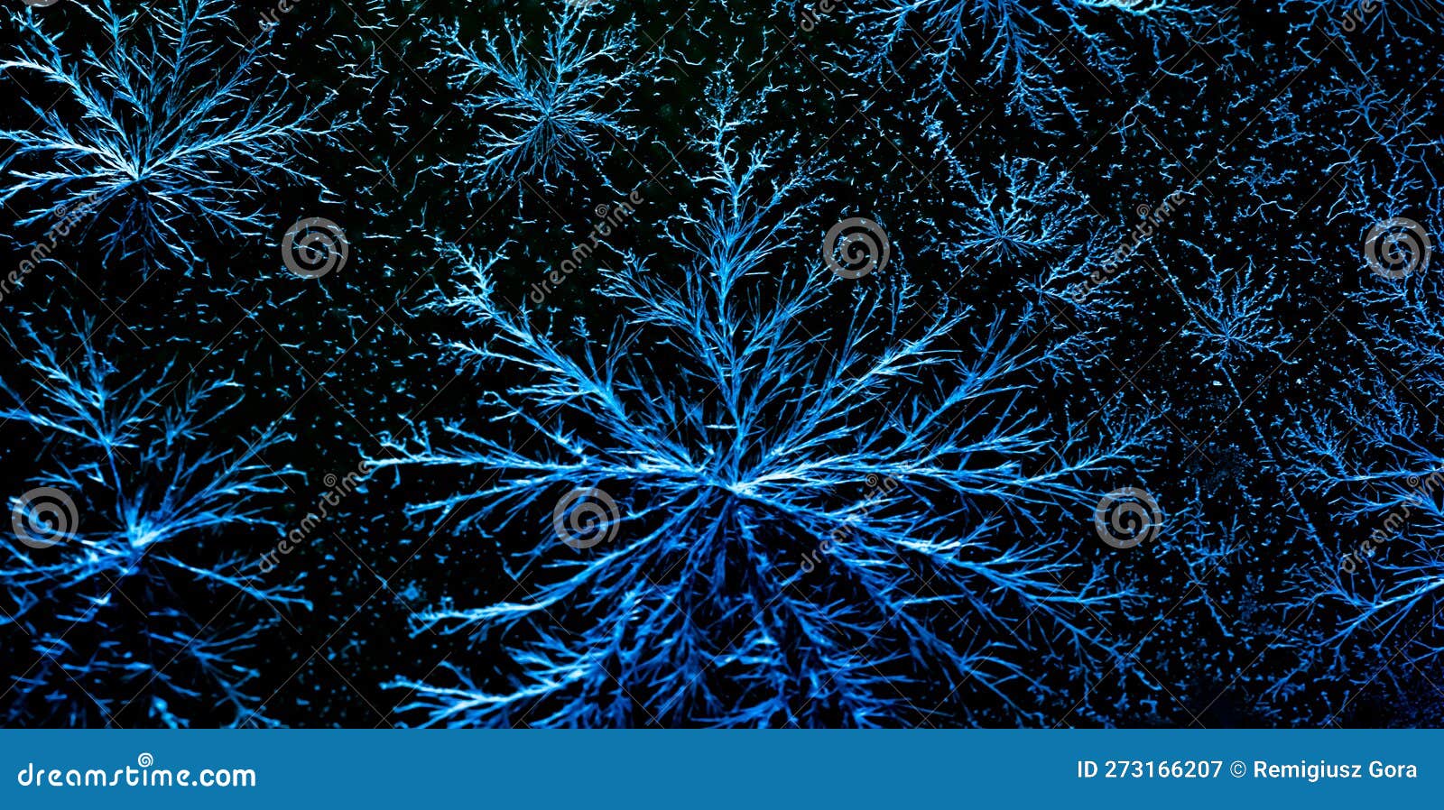 Chemical Flowers from Crystals, Nature Patterns Stock Image - Image of ...