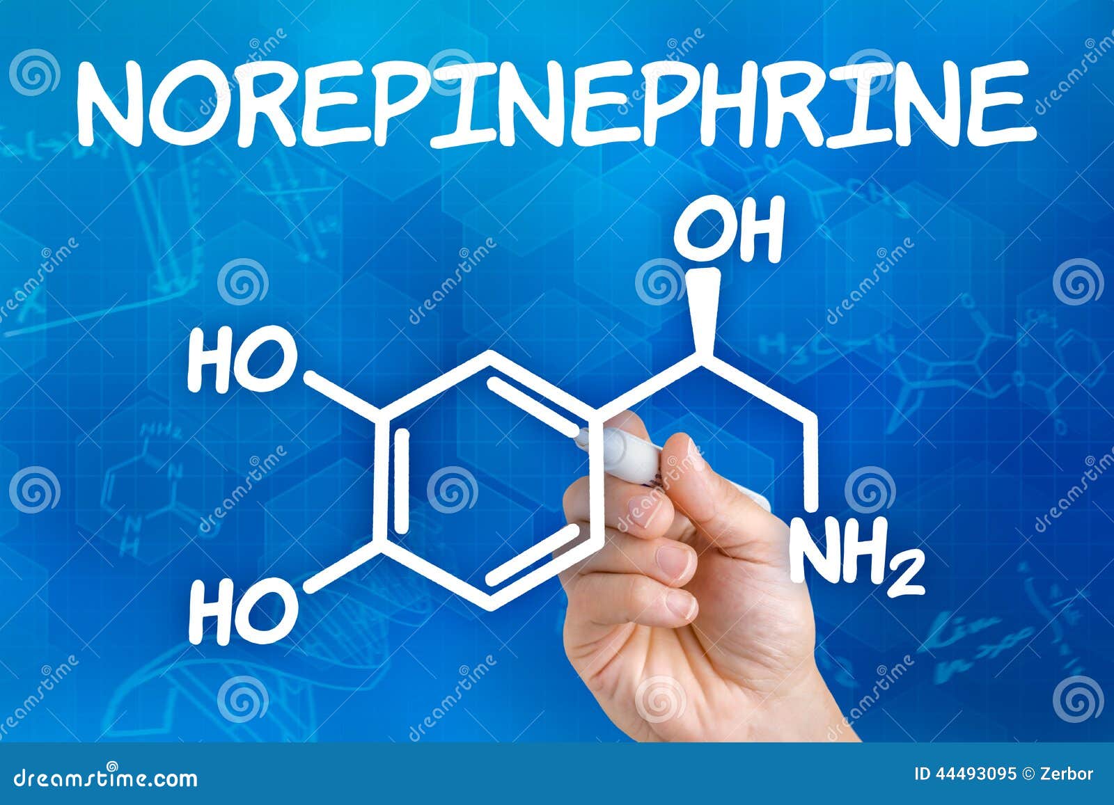 Chemical Formula of Norepinephrine Stock Illustration - Illustration of ...