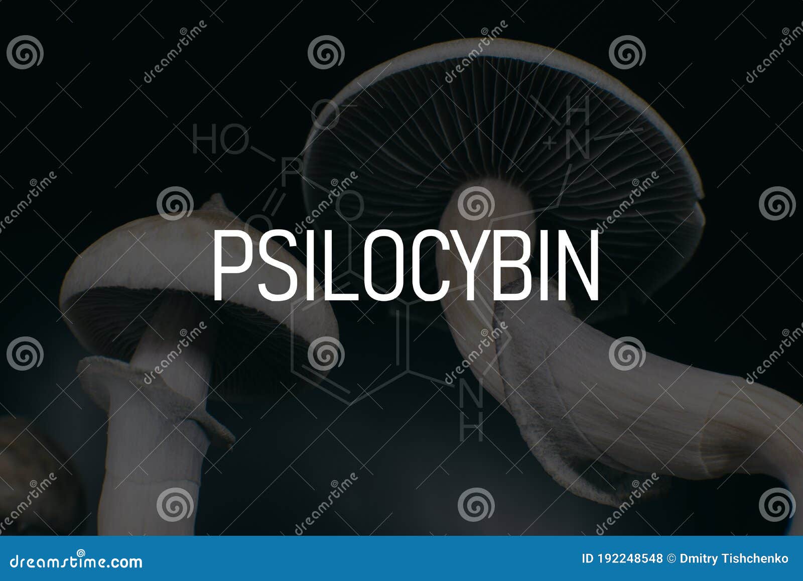 Chemical Formula of Psilocybin on a Blackboard Mushroom. Psilocybin ...
