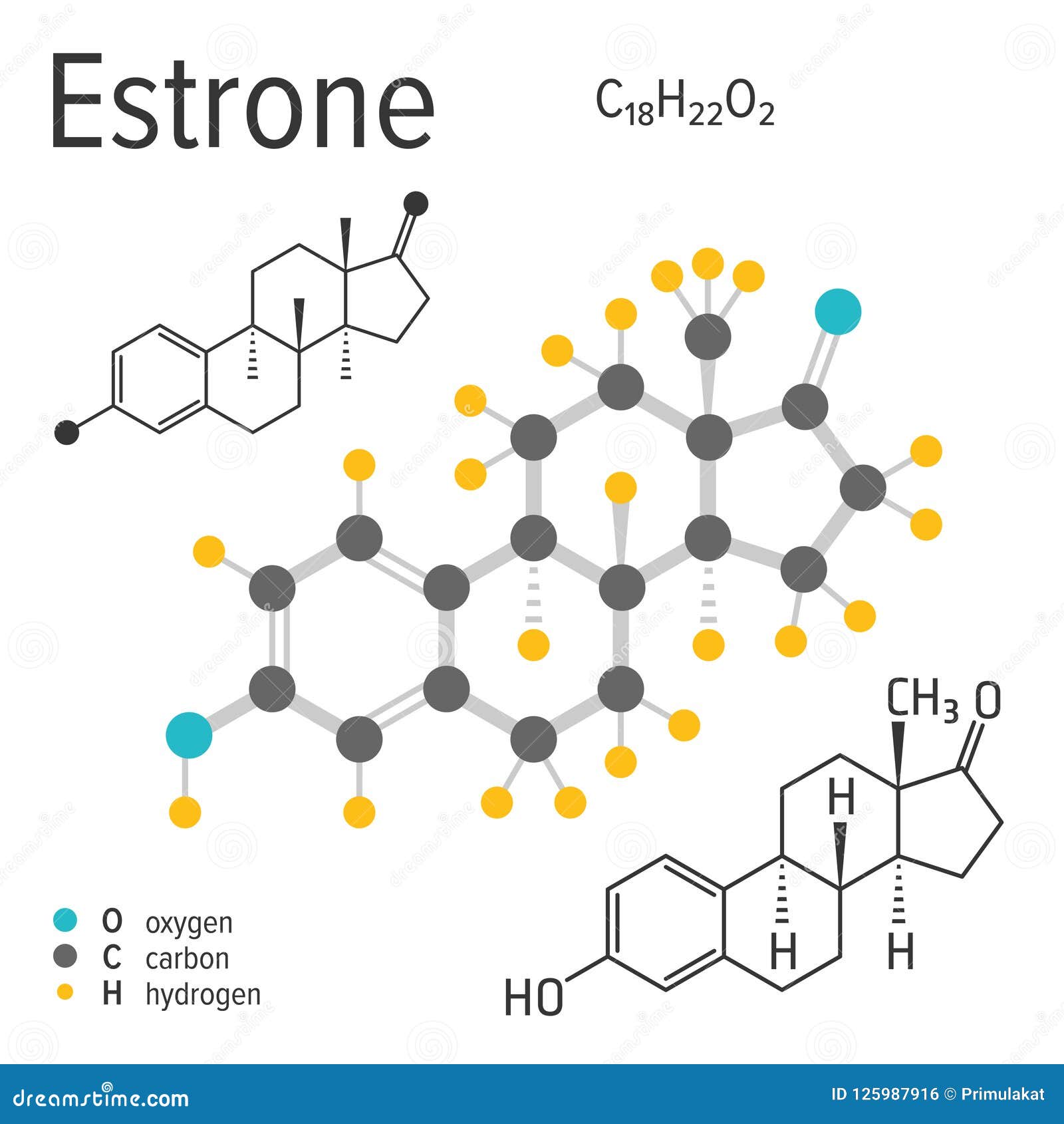 Estrone Structure