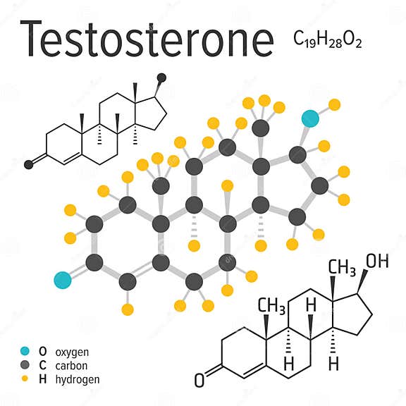 Chemical Formula Of A Vector Testosterone Molecule Stock Vector
