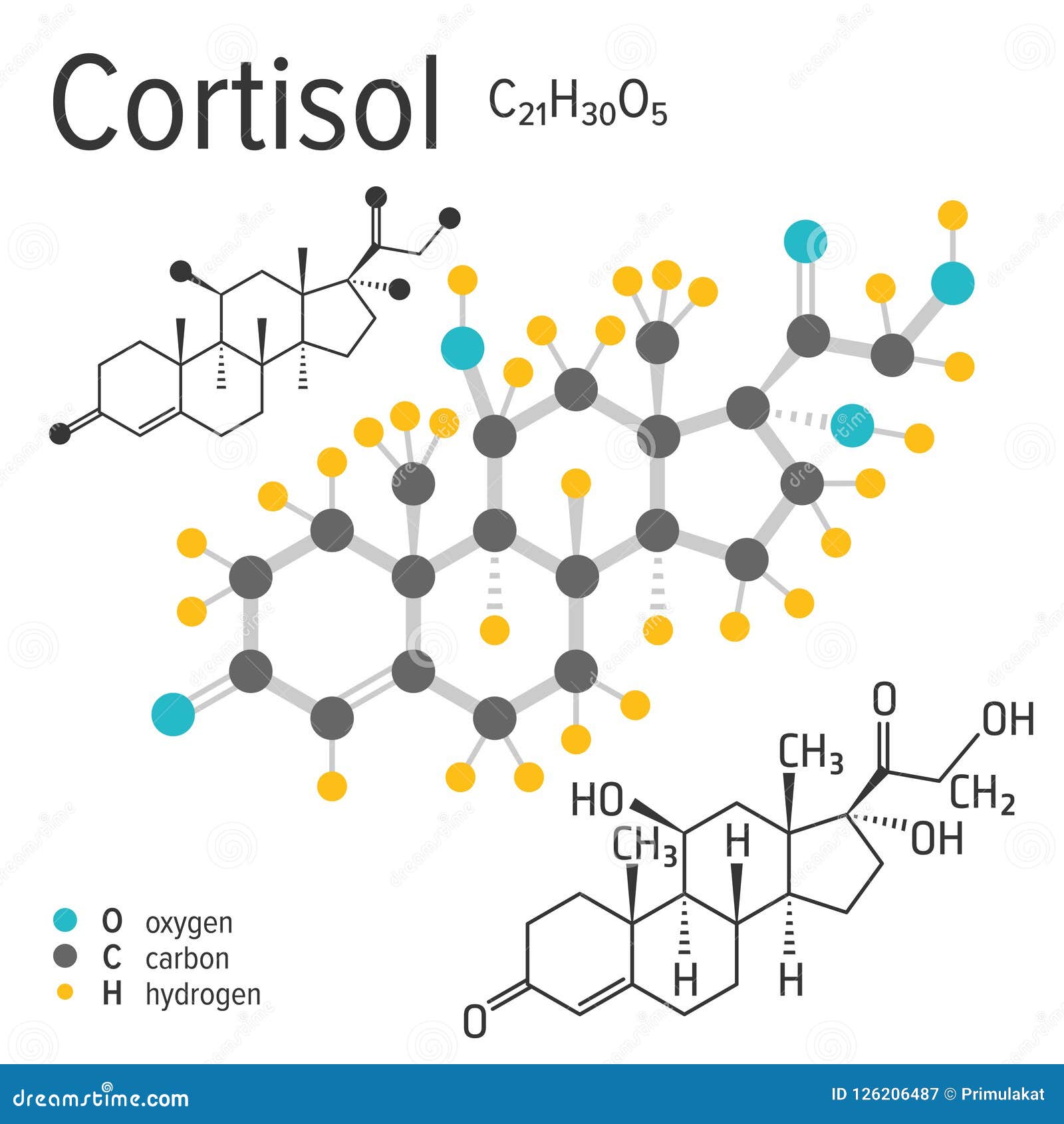 Chemical Formula Of The Vector Cortisol Molecule Stock Vector