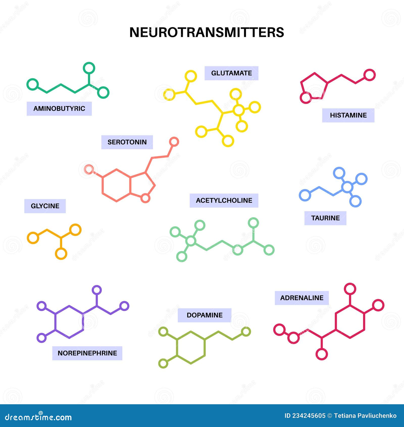 Dopamine And Serotonin Molecule Dopamine And Serotonin Molecule
