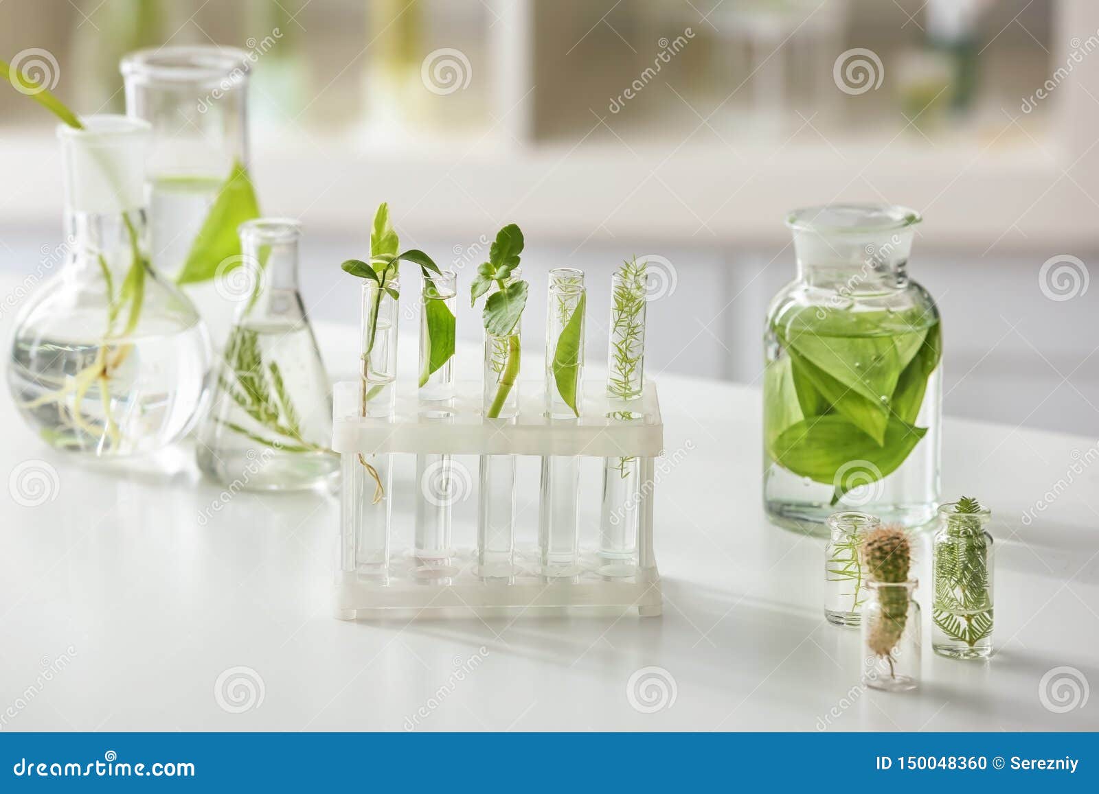 Chemical Glassware with Plants on Table in Laboratory Stock Photo ...
