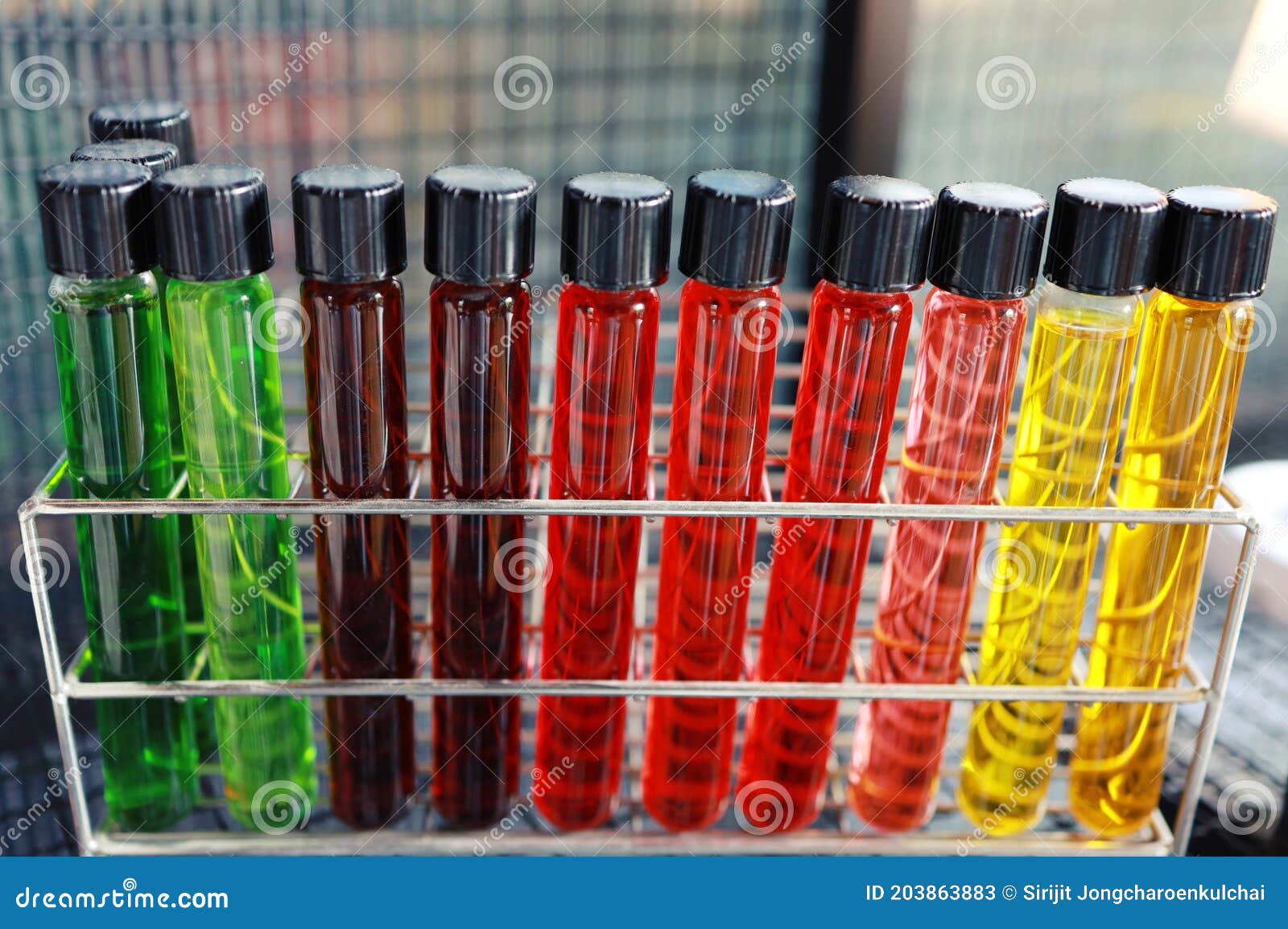 Chemical Industry Performing Biochemical Laboratory Tests Blood Tests ...