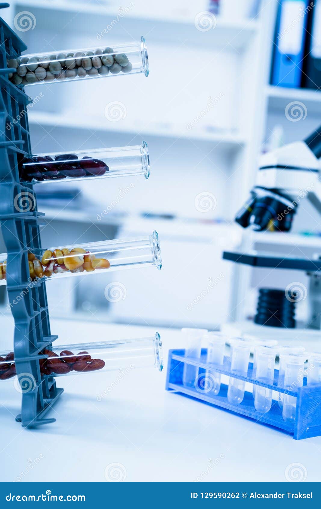 Chemical Laboratory of the Food Supply . Food in Laboratory, Dna Modify ...