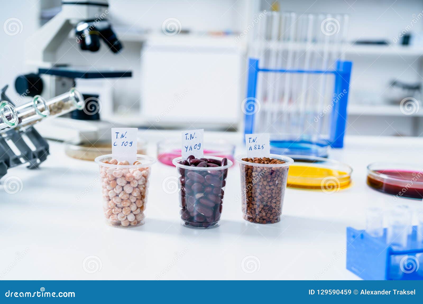 Chemical Laboratory of the Food Supply . Food in Laboratory, Dna Modify ...