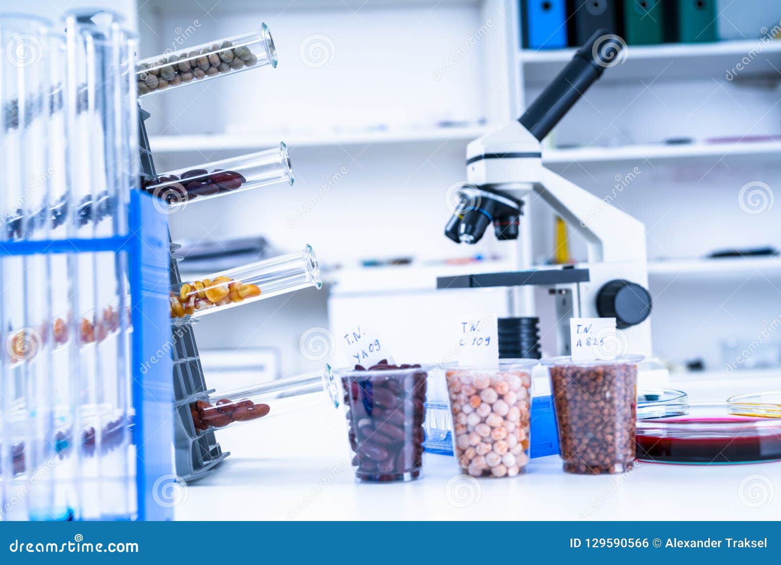 Chemical Laboratory of the Food Supply . Food in Laboratory, Dna Modify ...