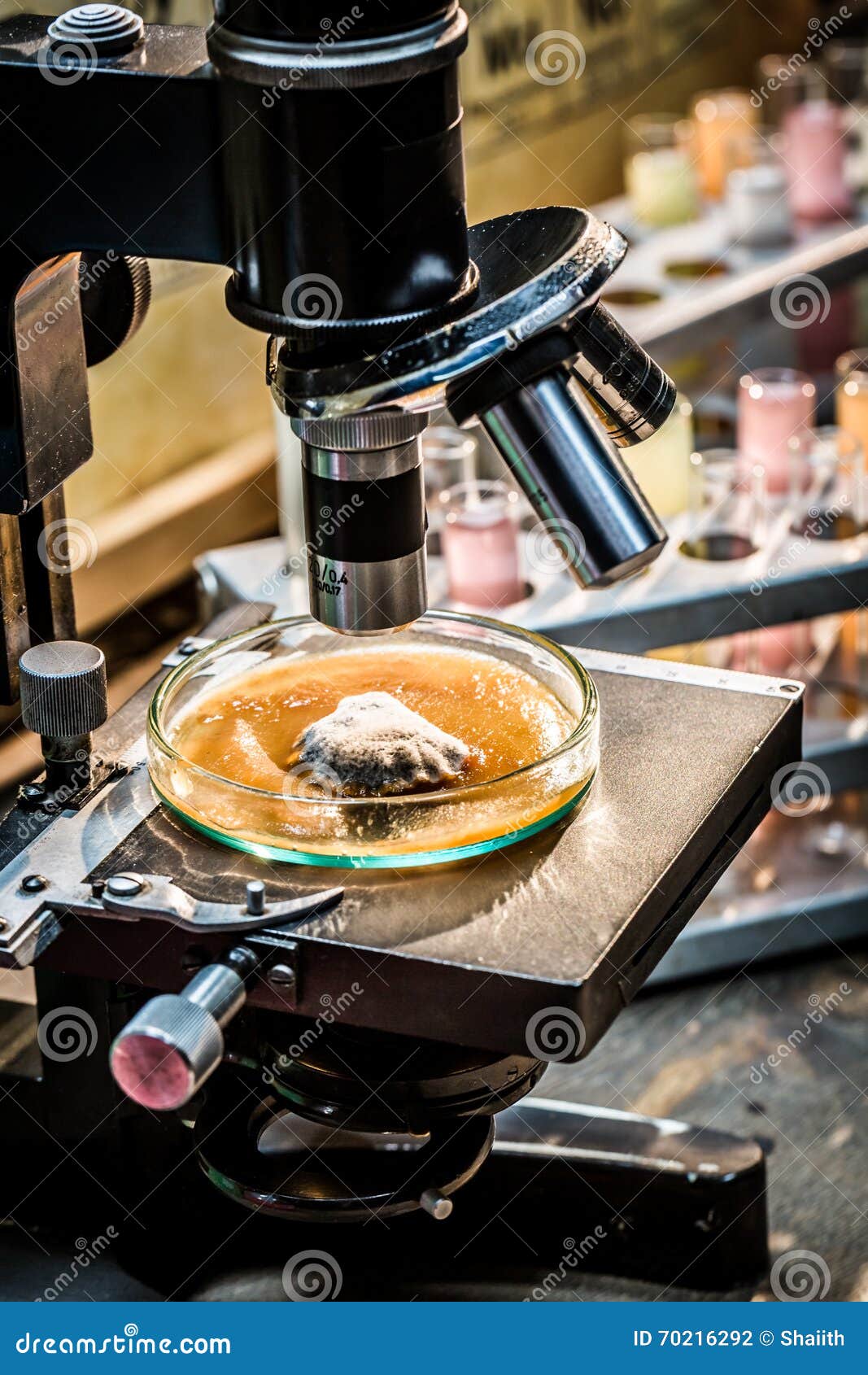 Chemical Laboratory during the Mold Test Stock Photo - Image of ...