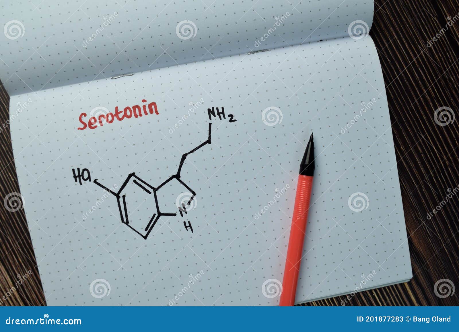 Serotonin Hormone Structural Chemical Formula Royalty-Free Stock Photo ...
