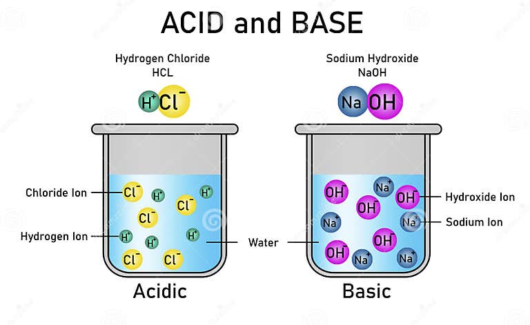 Chemical Molecules of Acid and Base Diagram Stock Illustration ...