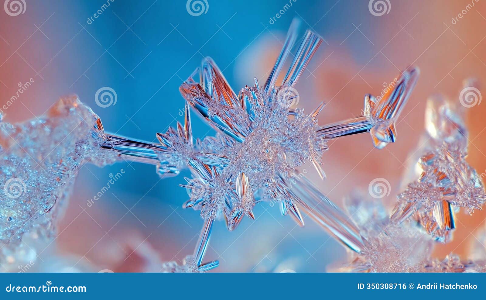 Crystallization Patterns Of Various Salts Creating Dendritic Growth ...