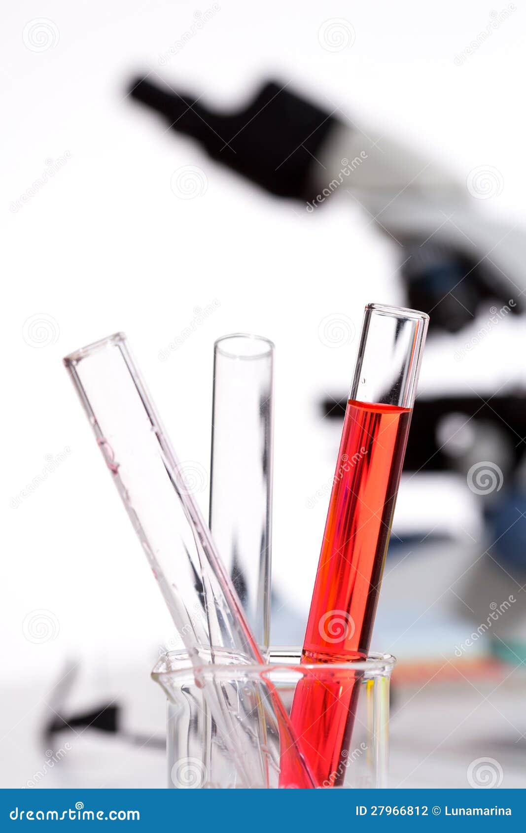 Chemical Scientific Laboratory Stuff Test Tubes Stock Photo - Image of ...