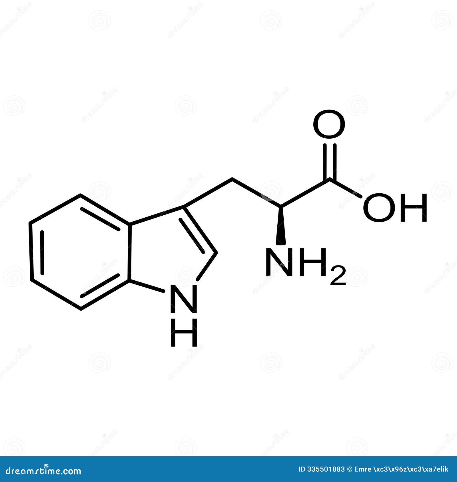 Chemical Structural Formula Of Amino Acid, Tryptophan Royalty-Free ... Chemical Structural Formula Of Amino Acid, Tryptophan Royalty-Free ...