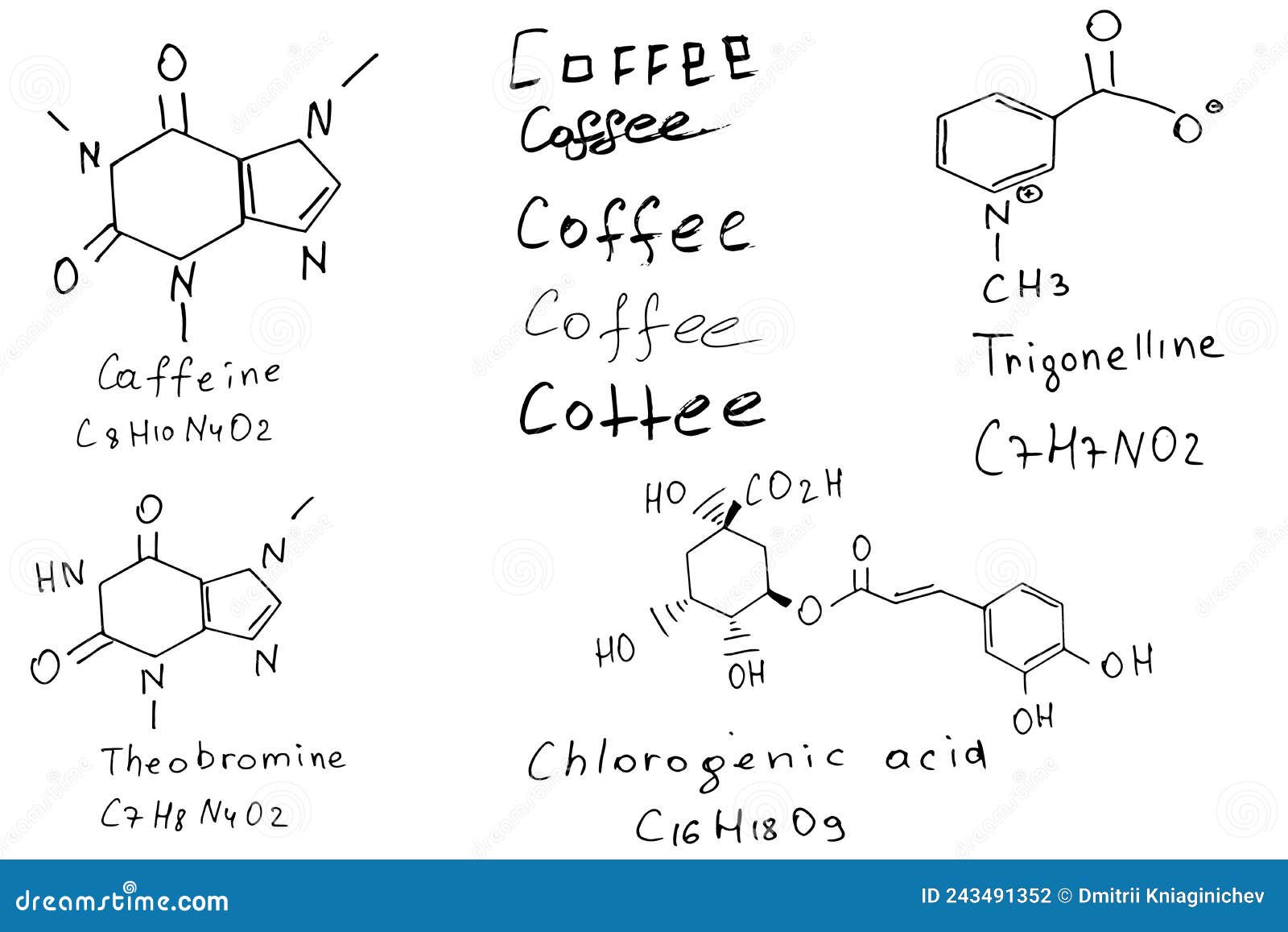 Chemical Structure of Coffee. Caffeine Formula. Stock Vector ...