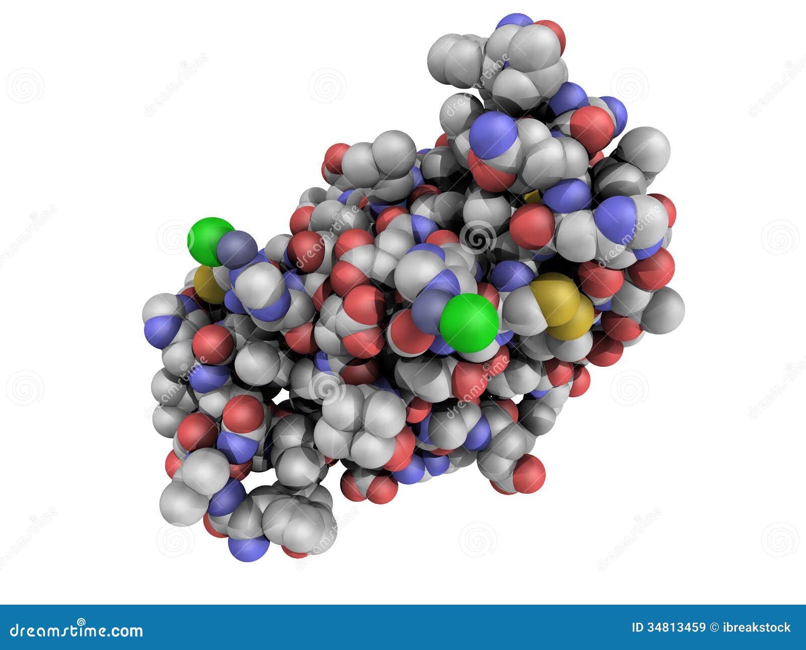 Chemical Structure of a Human Insulin Molecule Stock Illustration ... Chemical Structure of a Human Insulin Molecule Stock Illustration ...