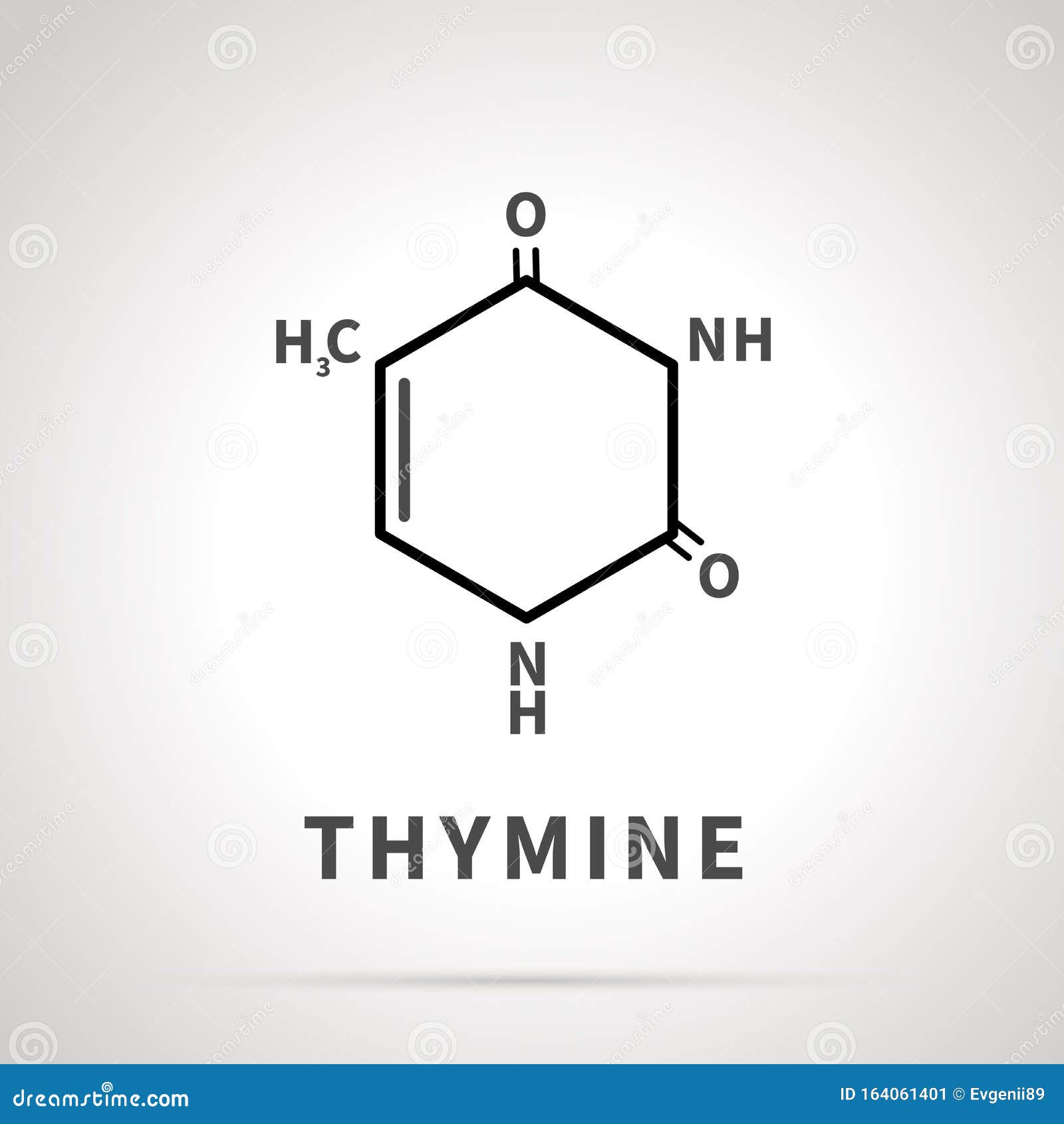 Chemical Structure of Thymine, One of the Four Main Nucleobases, Simple ...