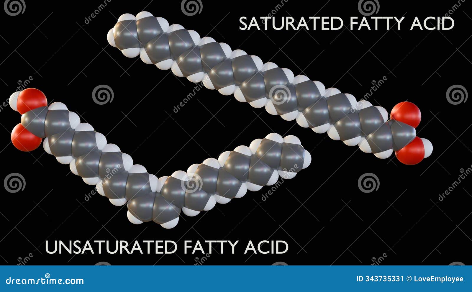Unsaturated Fat Model What The Fat? Unsaturated, Saturated & Trans