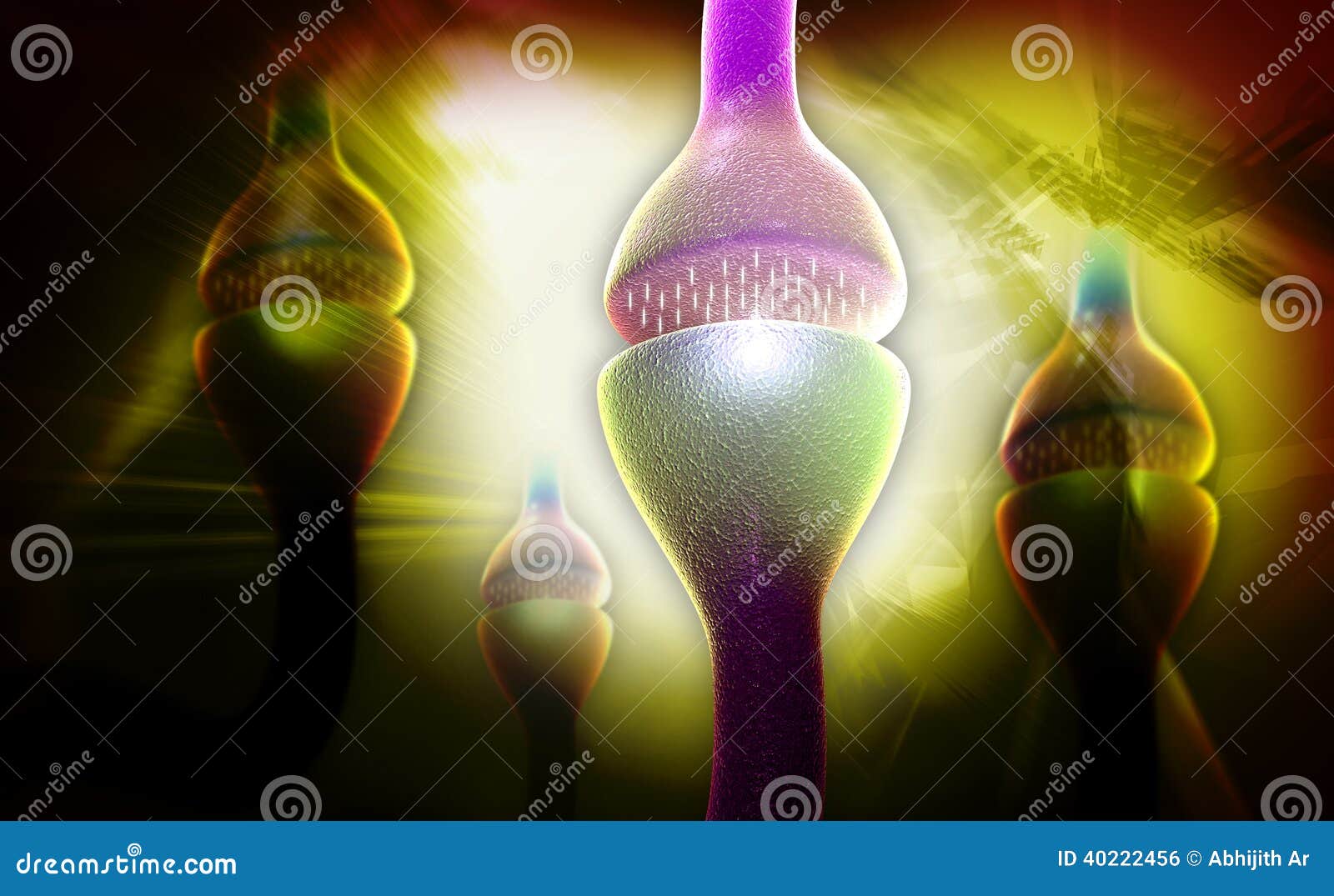 Chemical Synapse Structure. Neuron Communication Cartoon Vector ...