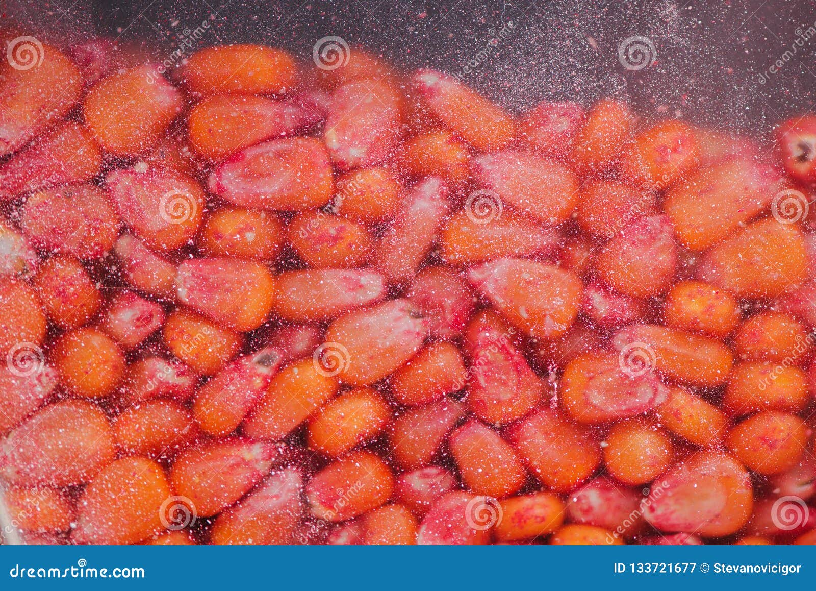 Chemically Treated Corn Maize Seed in Seeding Machine Stock Image ...