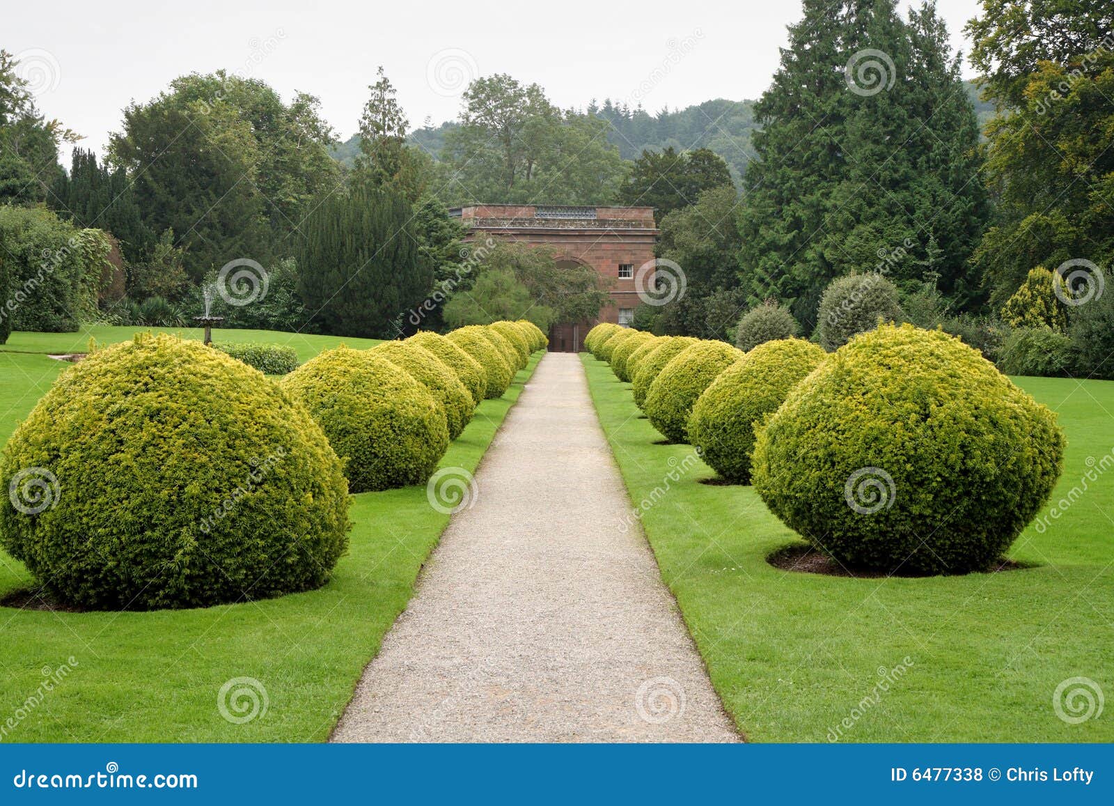 Chemin à Travers Un Jardin Anglais Photo stock - Image du stationnement ...
