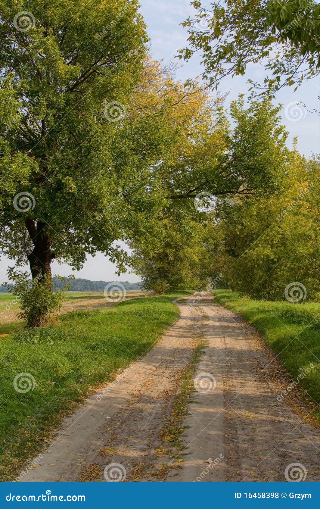 Chemin Photos libres de droits - Image: 16458398