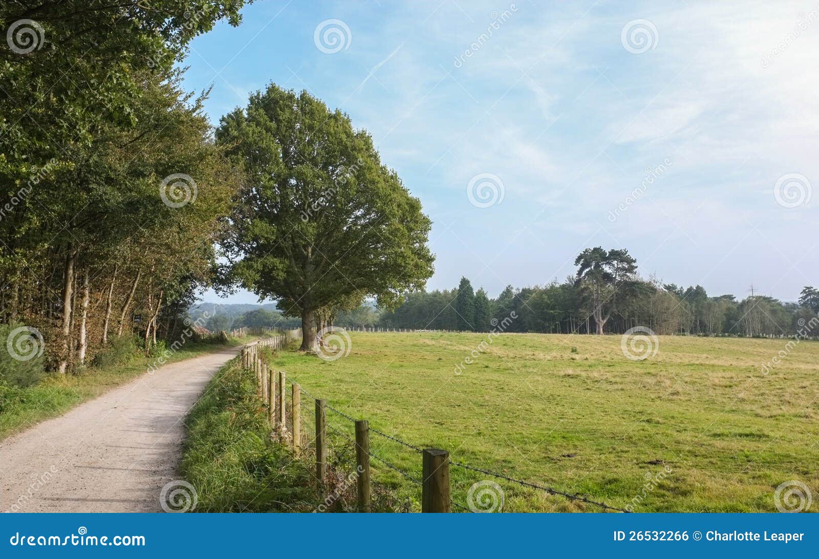 Chemin anglais de campagne photo stock. Image du zone - 26532266